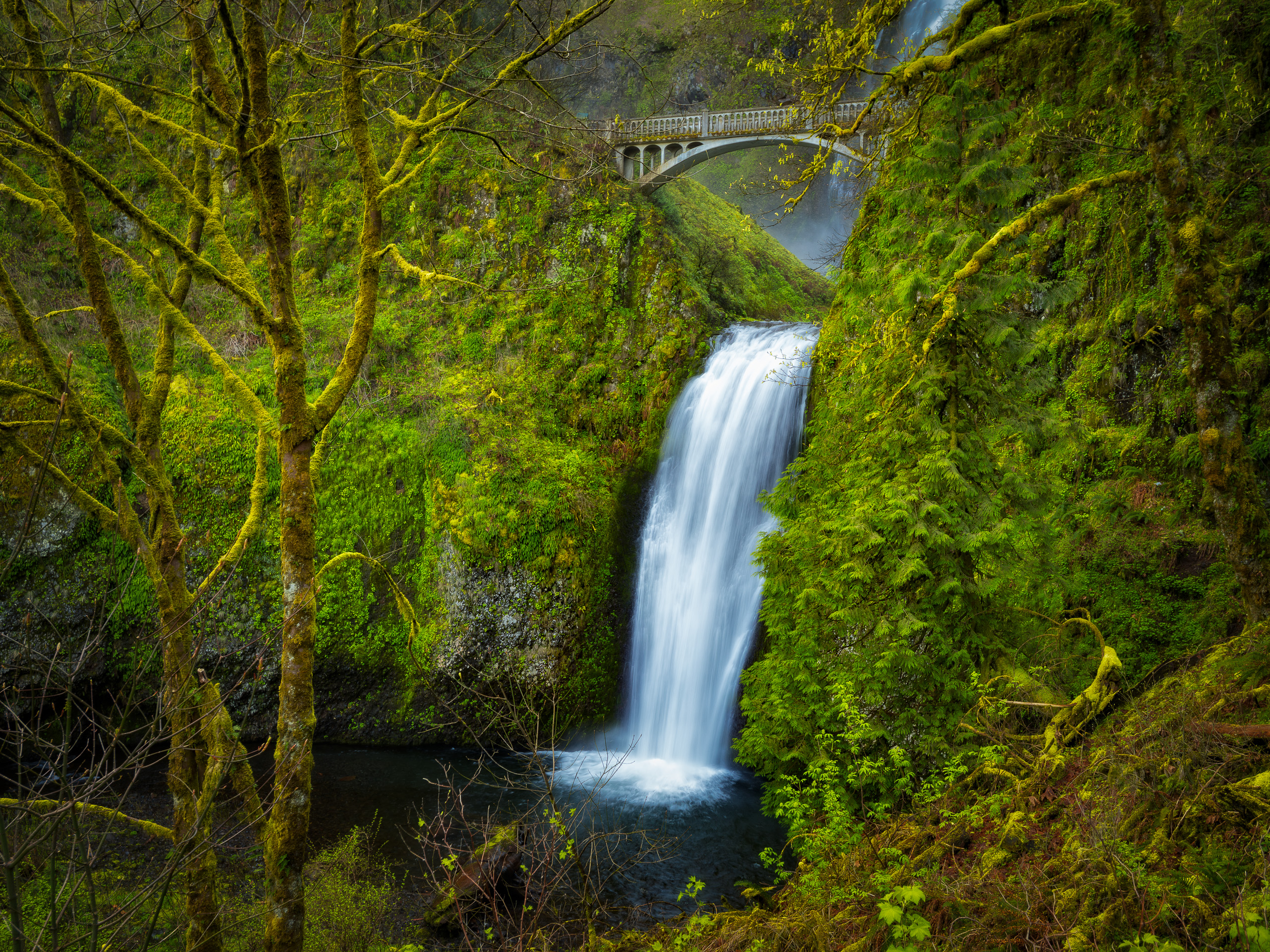 Photo of the Day: Multnomah Bridge - by Jason Odell