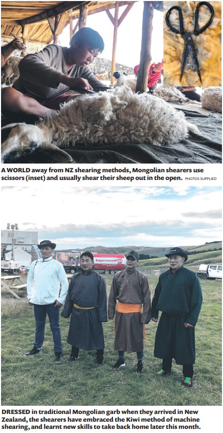 From snipping to clipping – shearers learn new skills | King Country News