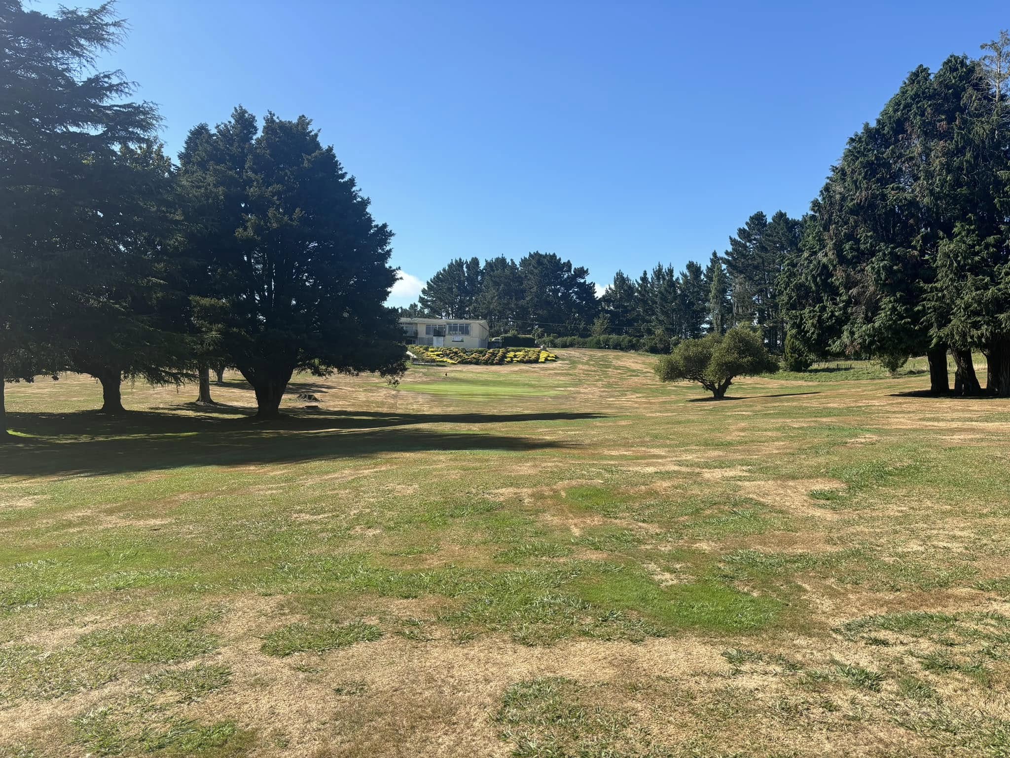 Golf club return confirmed | King Country News