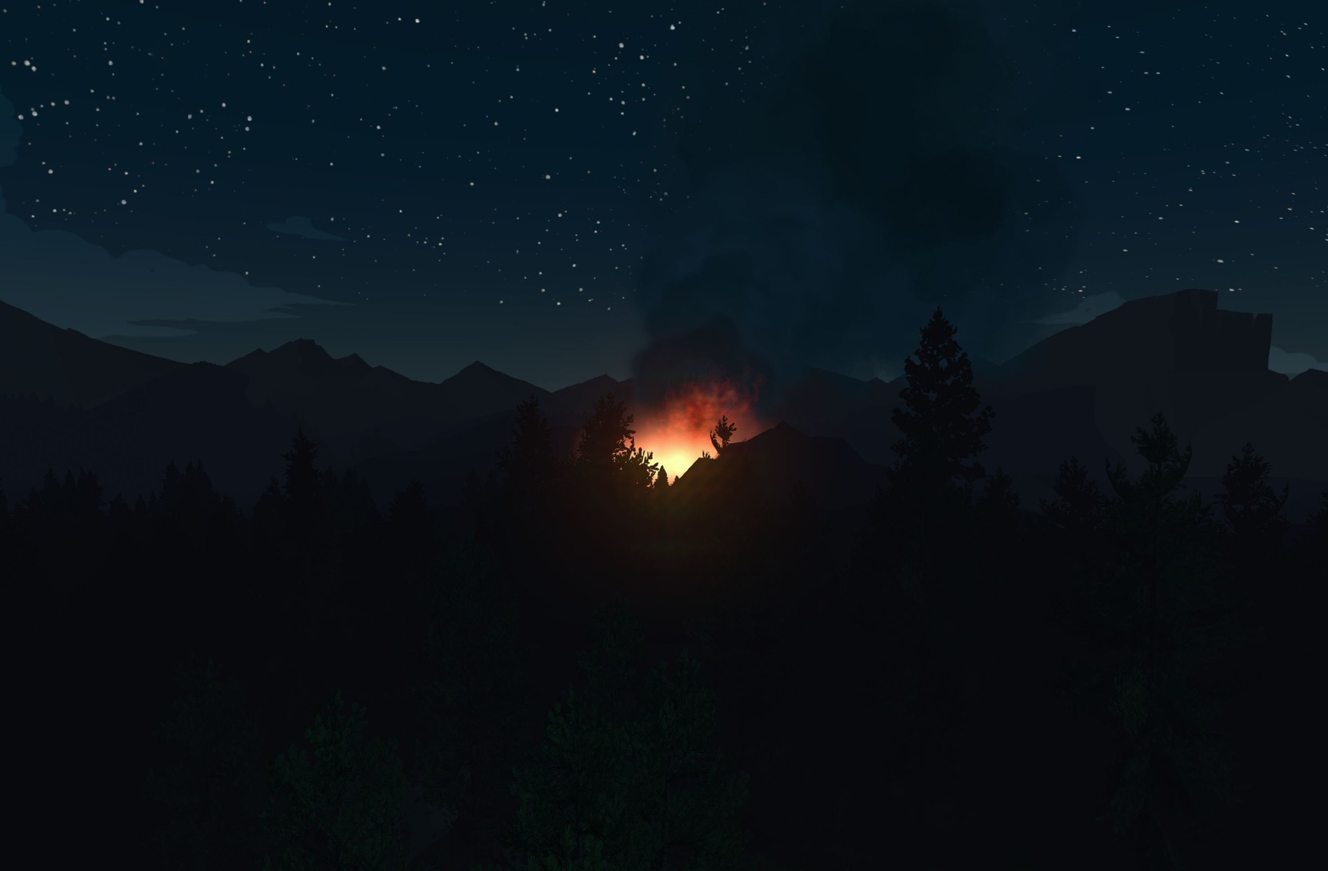 Firewatch Camera - Full Roll