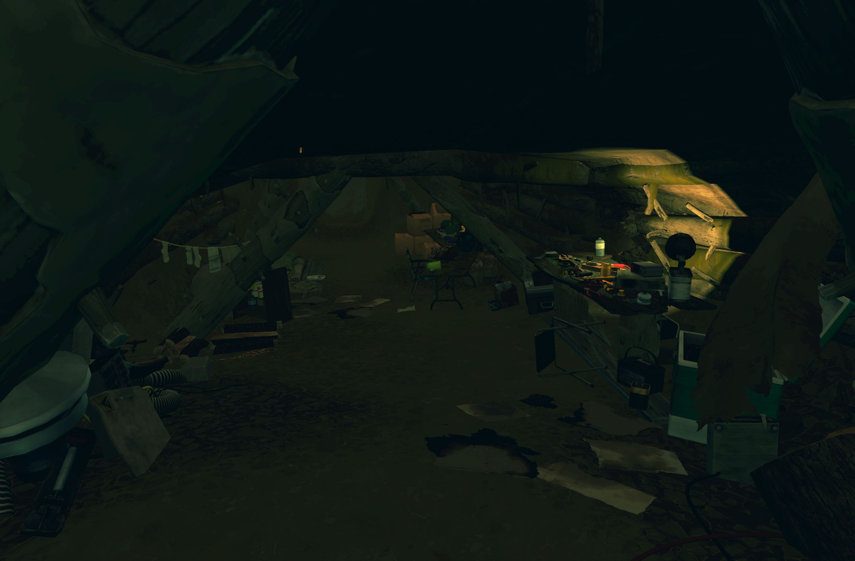 Firewatch Camera - Full Roll