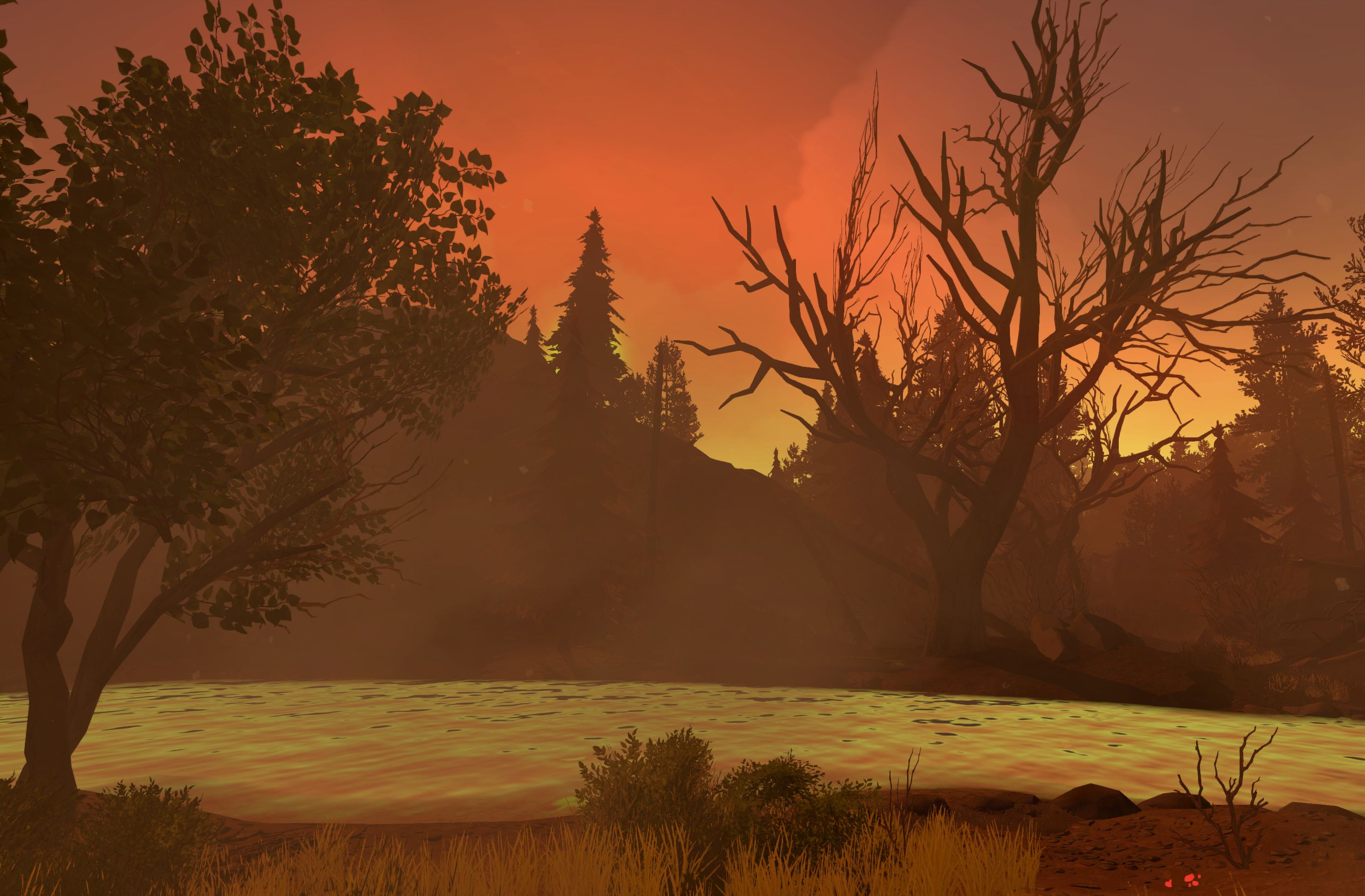 Firewatch Camera - Full Roll