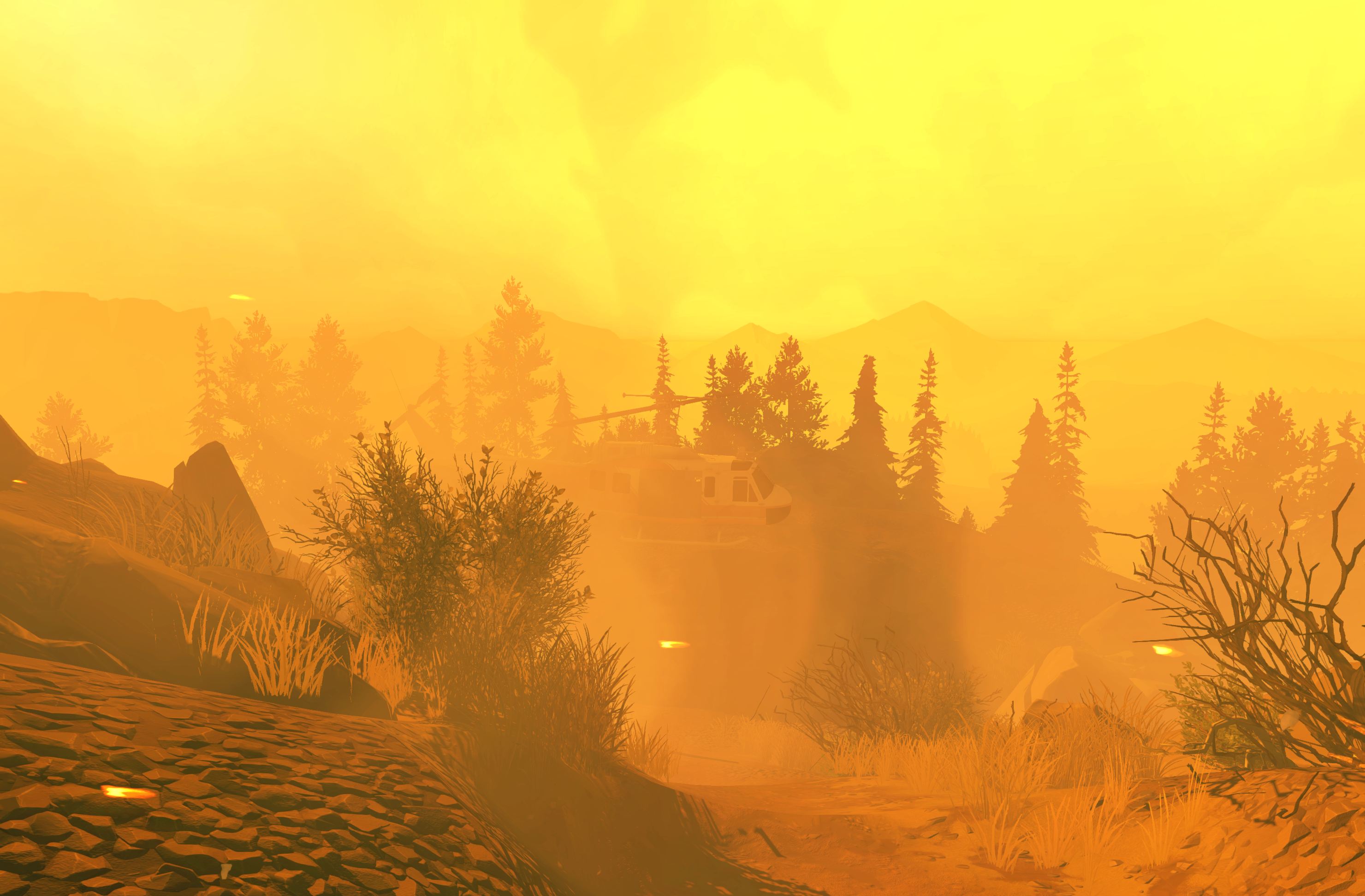 Firewatch Camera - Full Roll