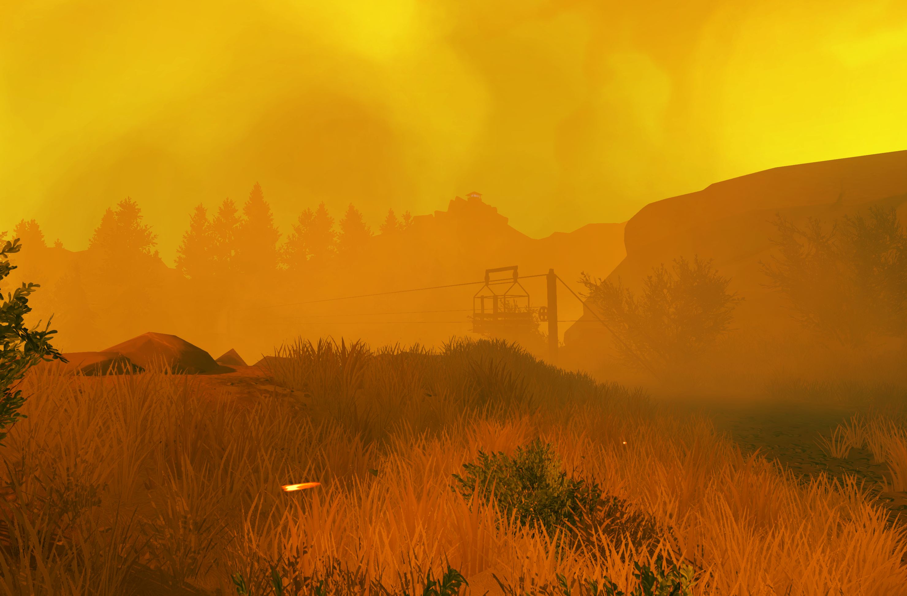 Firewatch Camera - Full Roll