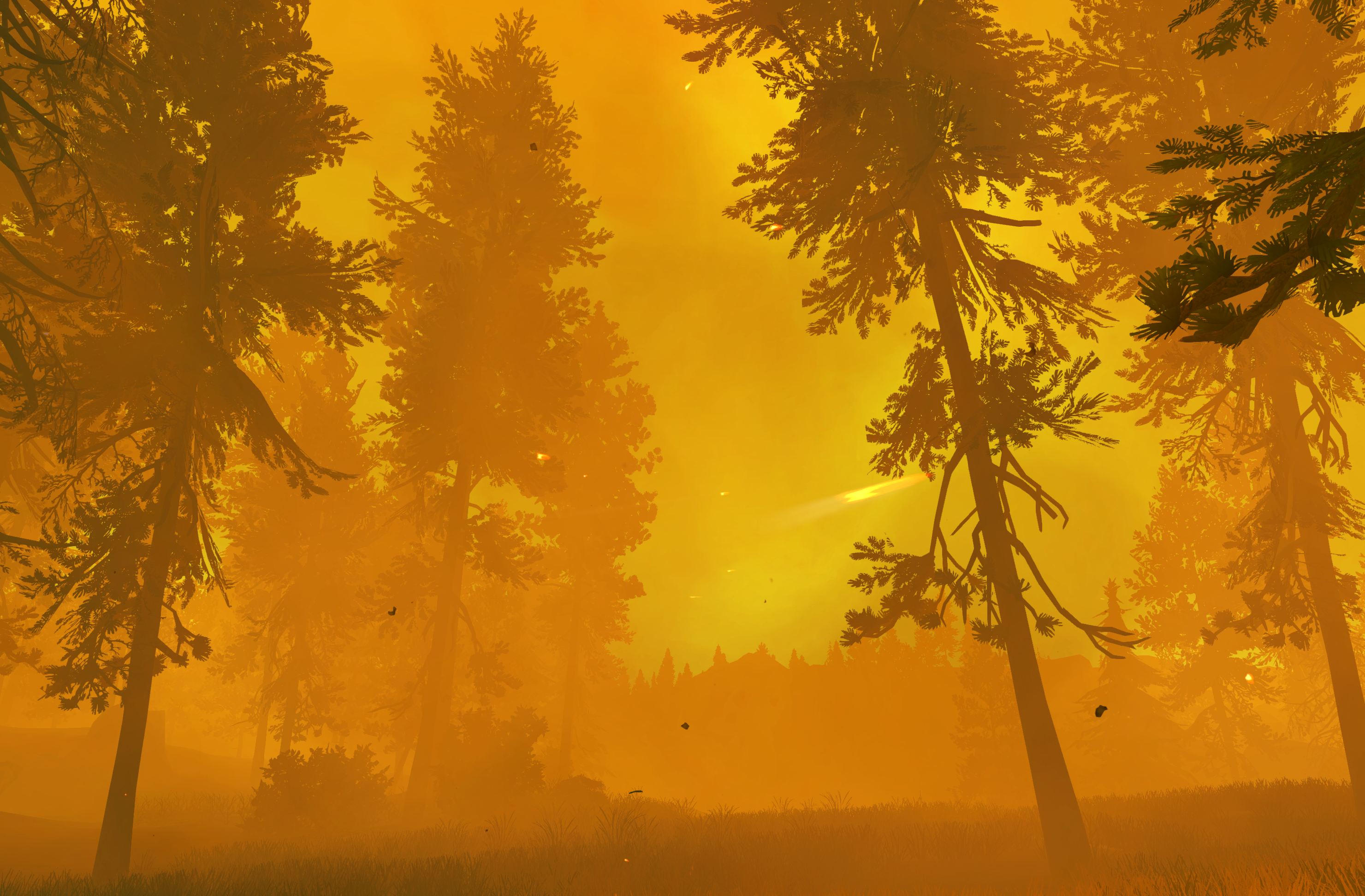 Firewatch Camera - Full Roll
