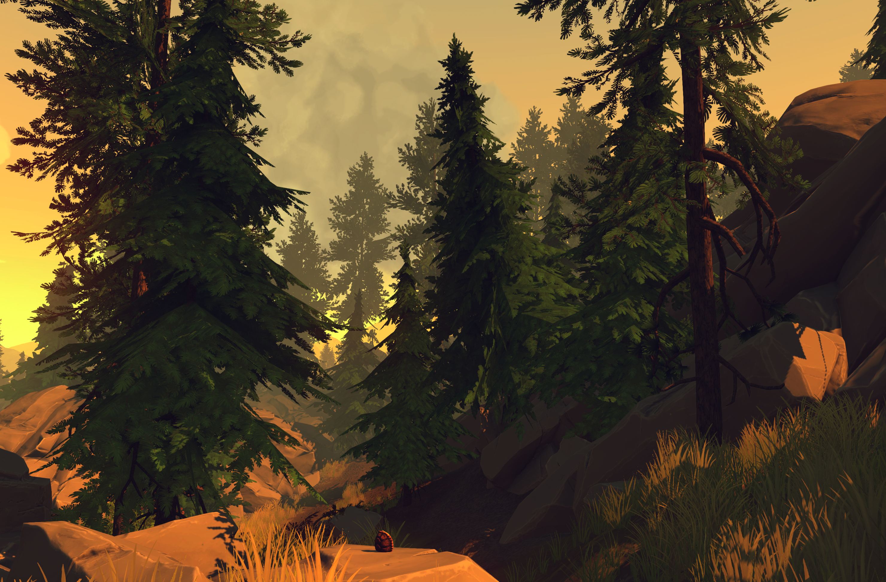 Firewatch Camera - Full Roll