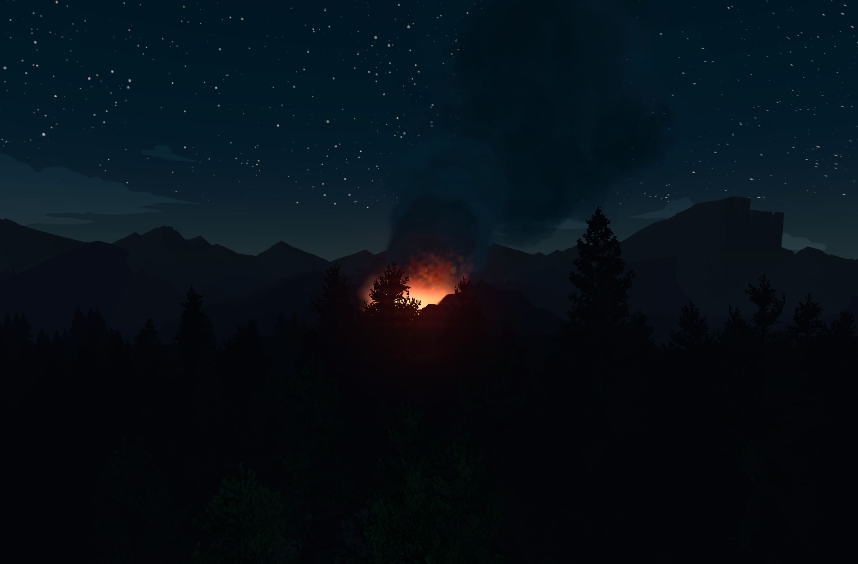 Firewatch Camera - Full Roll