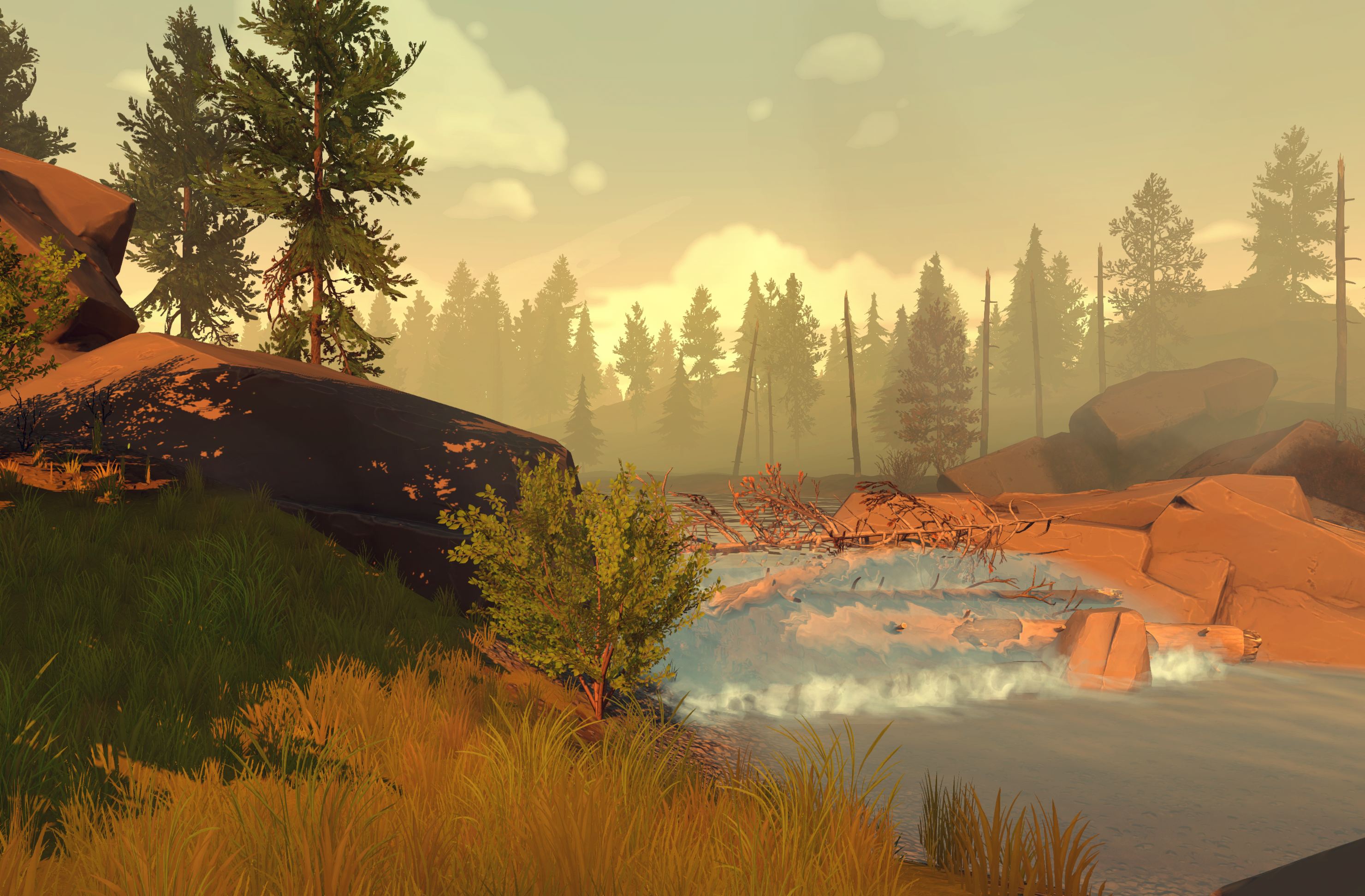 Firewatch Camera - Full Roll