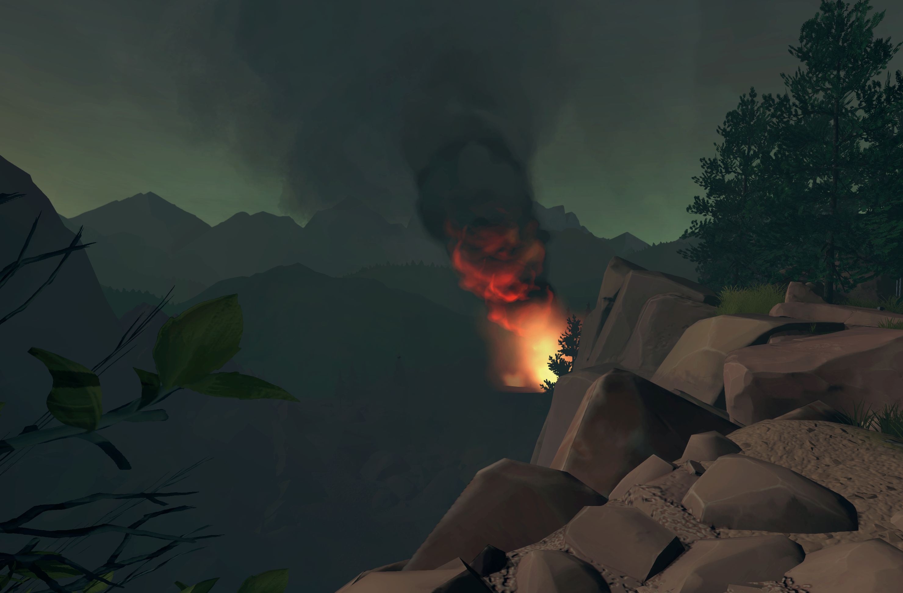 Firewatch Camera - Full Roll