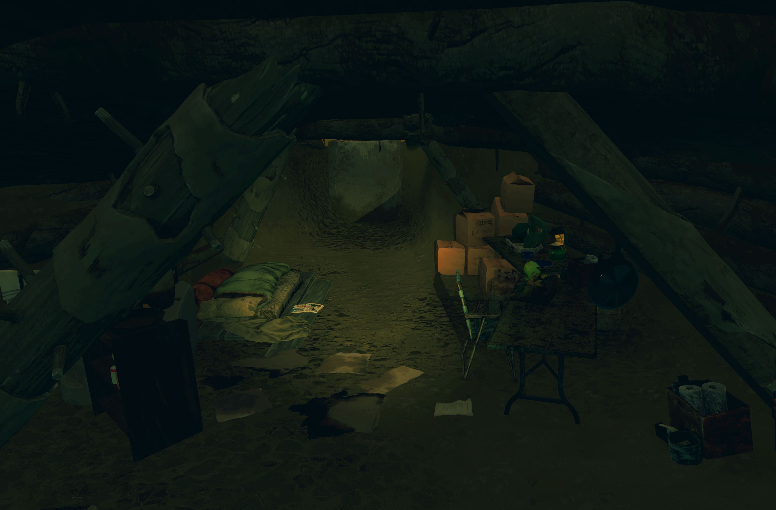 Firewatch Camera - Full Roll