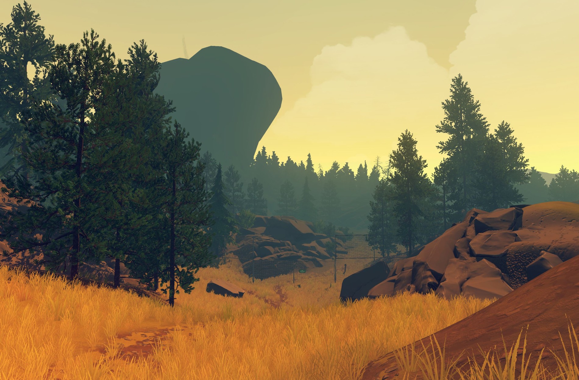 Firewatch Camera - Full Roll