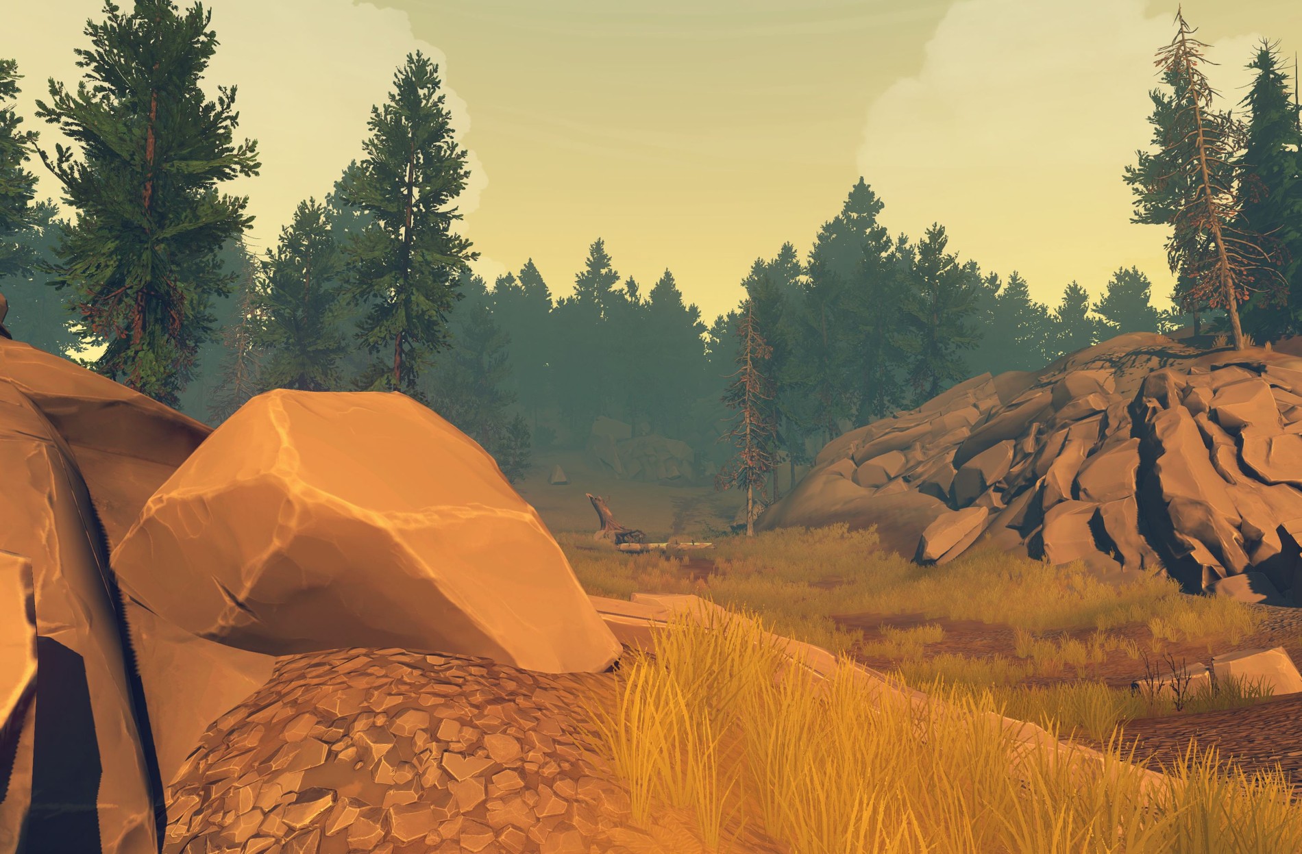 Firewatch Camera - Full Roll