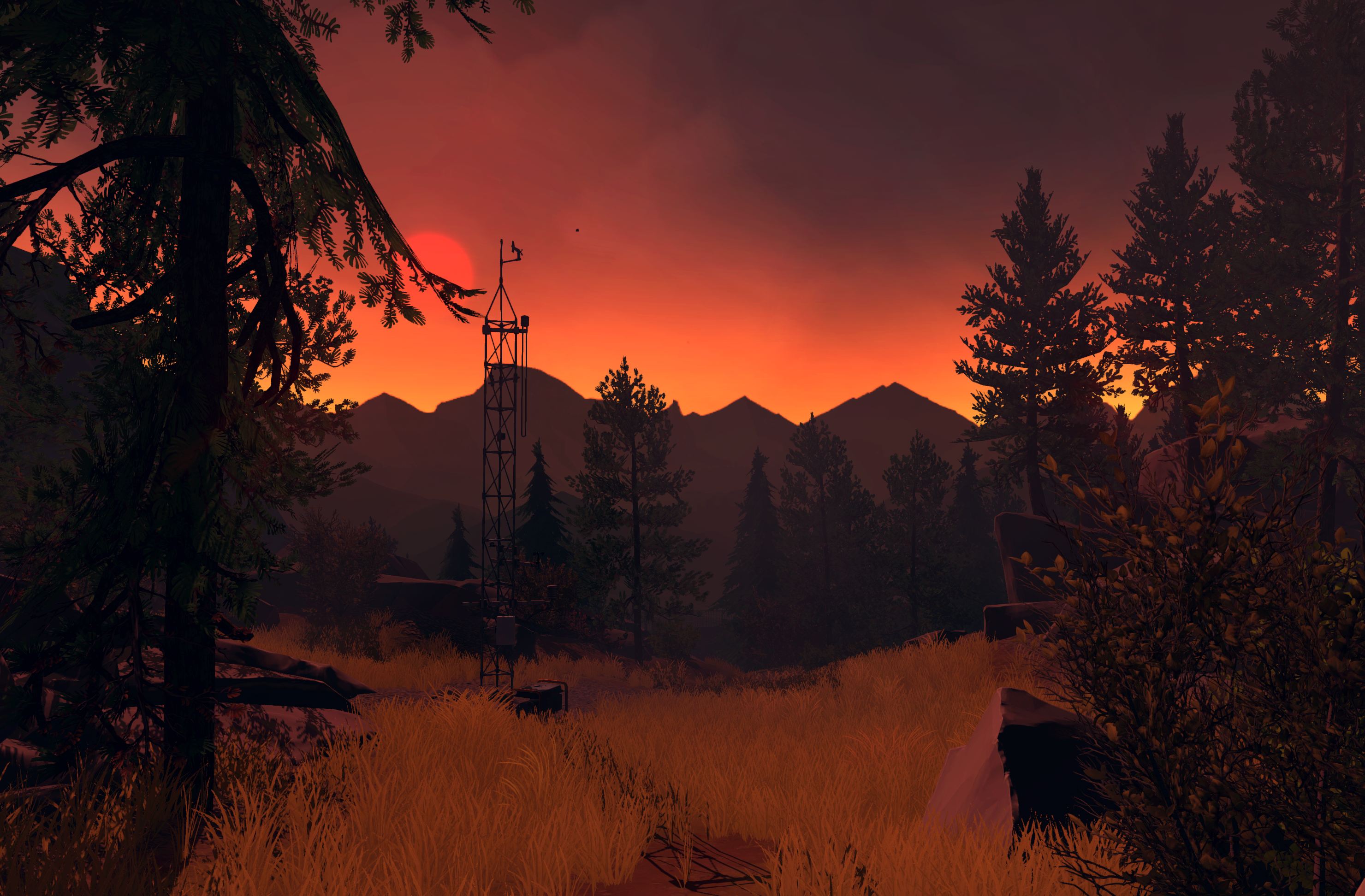 Firewatch Camera - Full Roll