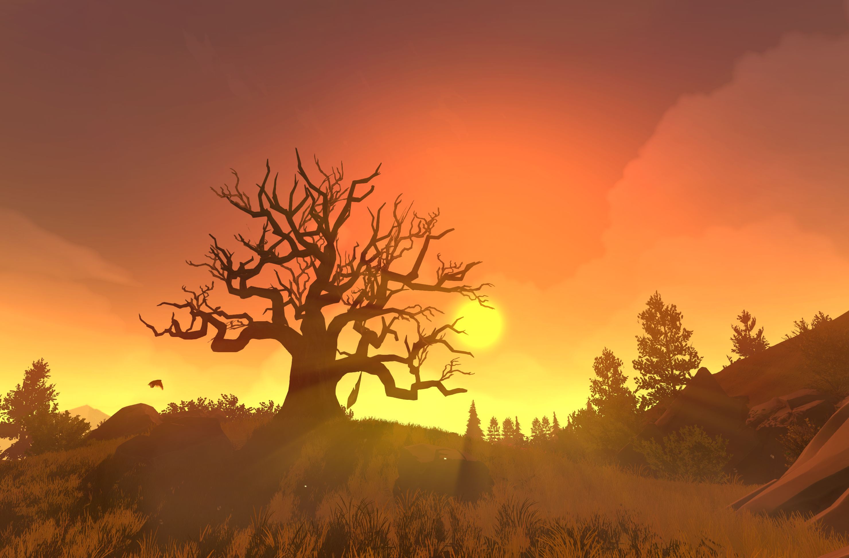 Firewatch Camera - Full Roll