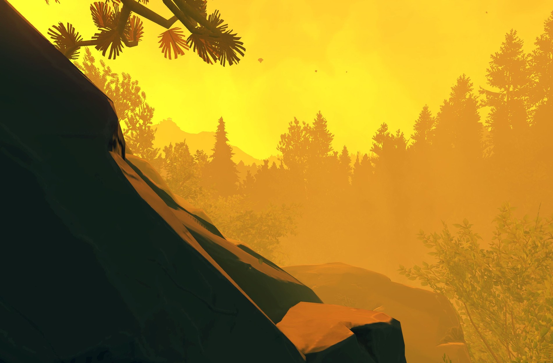 Firewatch Camera - Full Roll