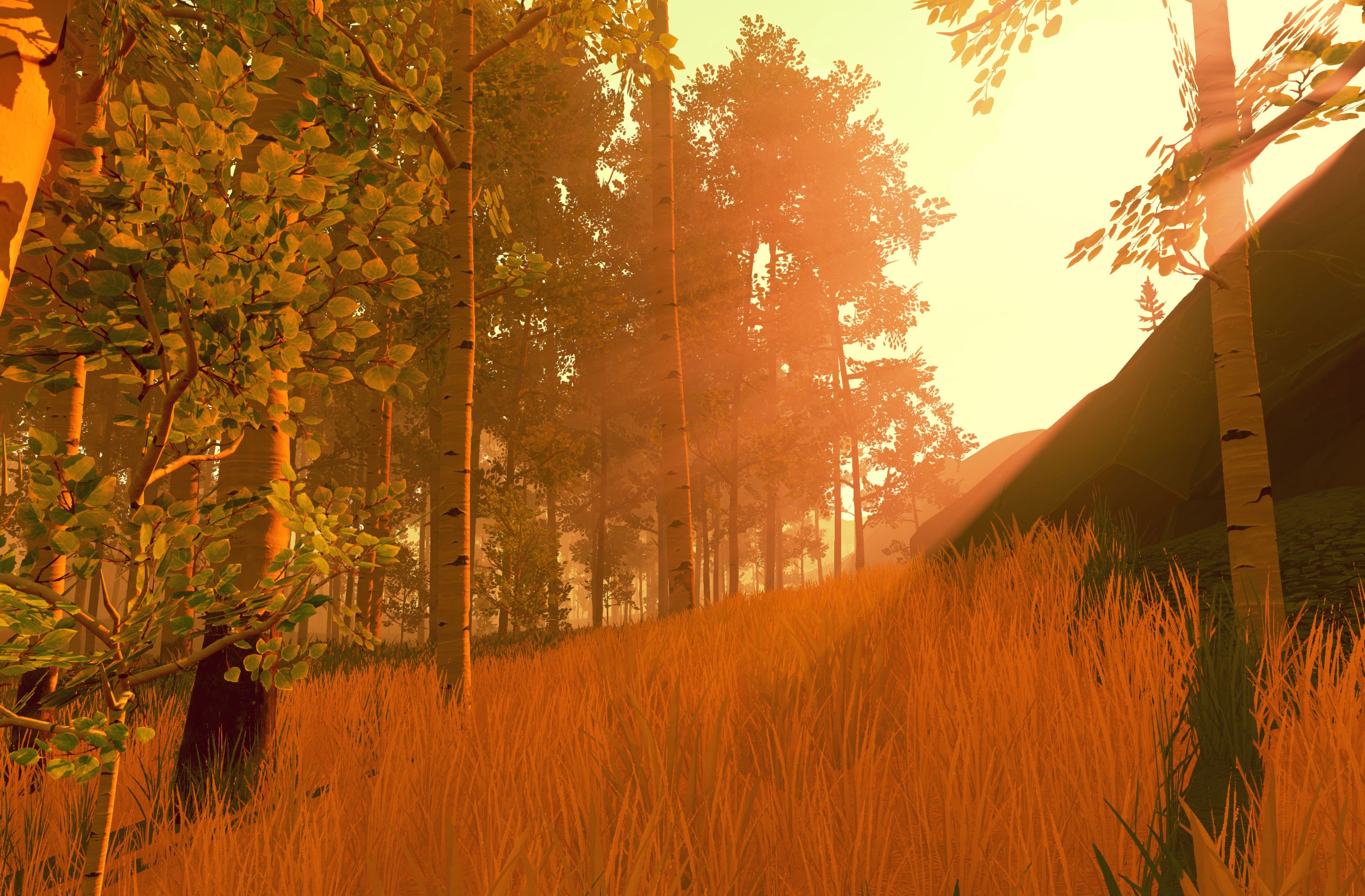 Firewatch Camera - Full Roll