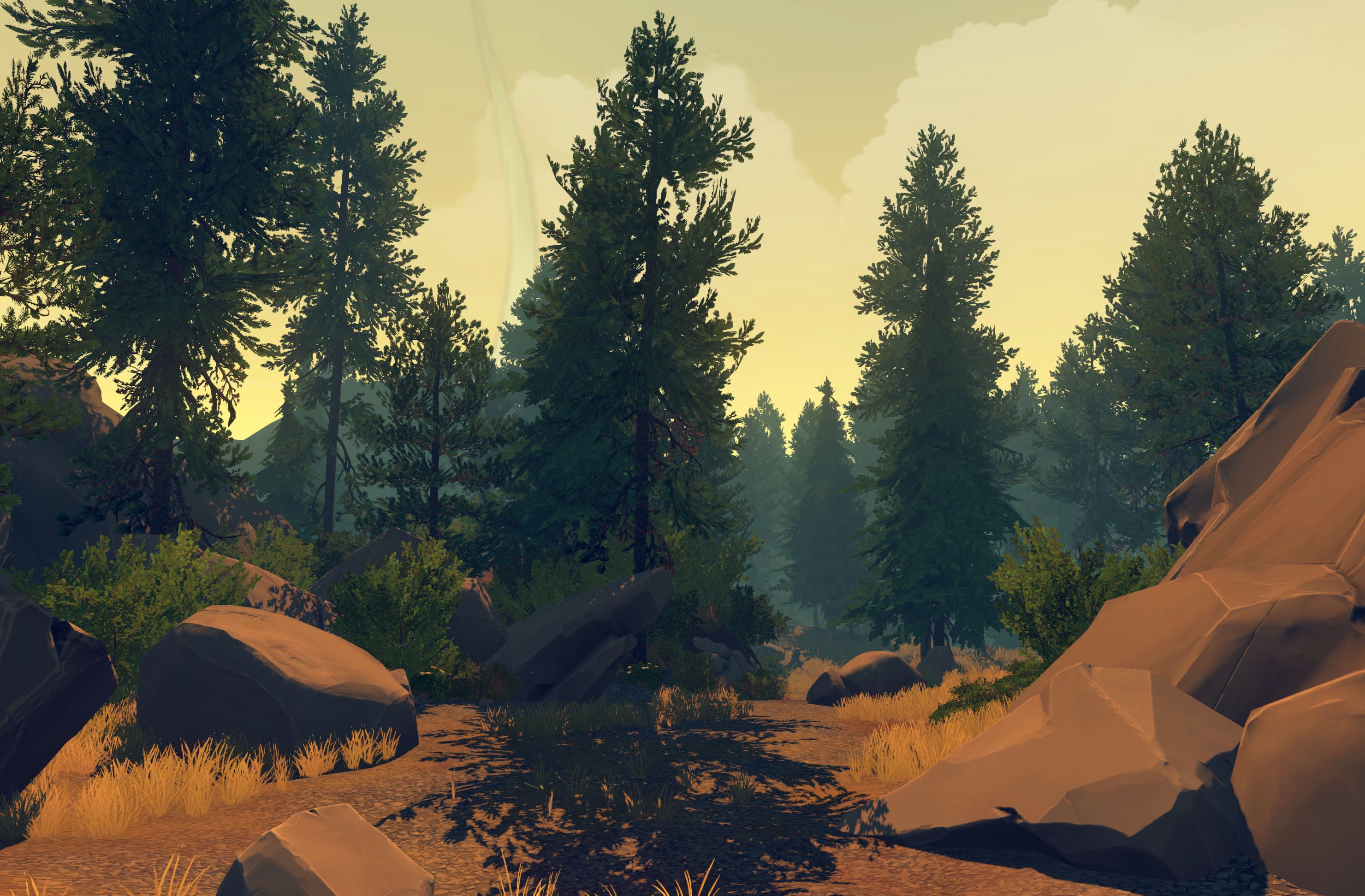 Firewatch Camera - Full Roll