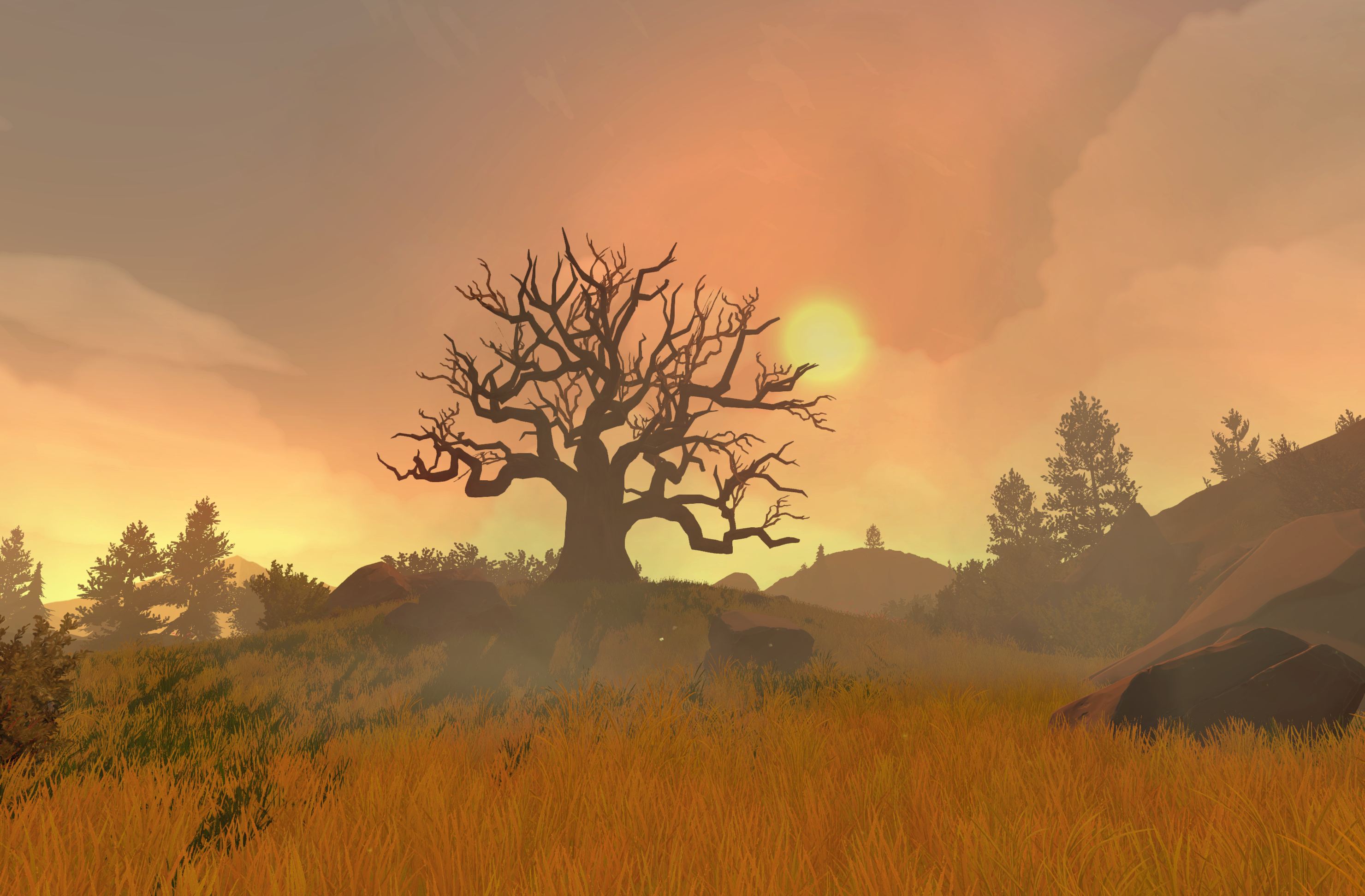 Firewatch Camera - Full Roll