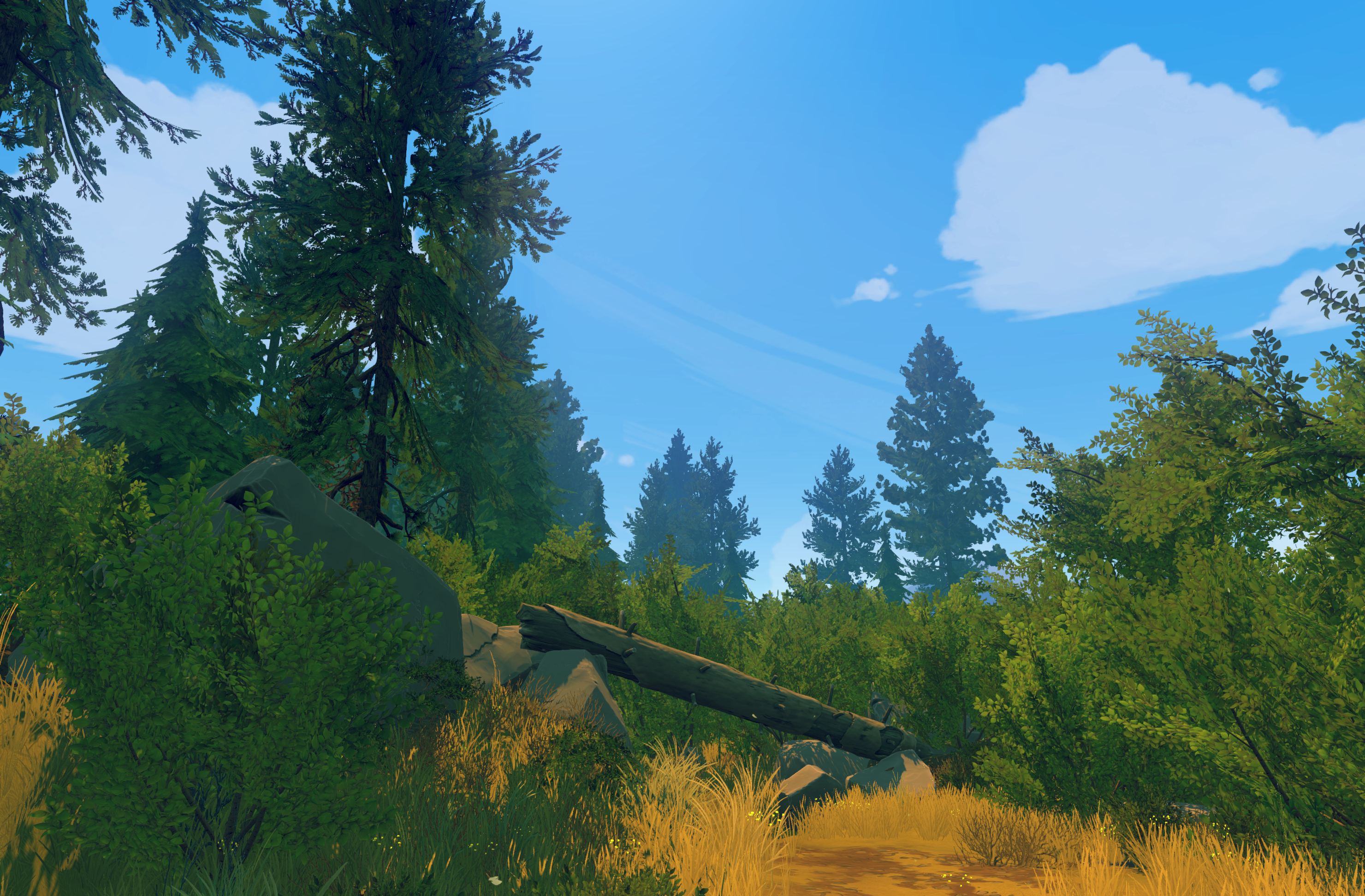 Firewatch Camera - Full Roll