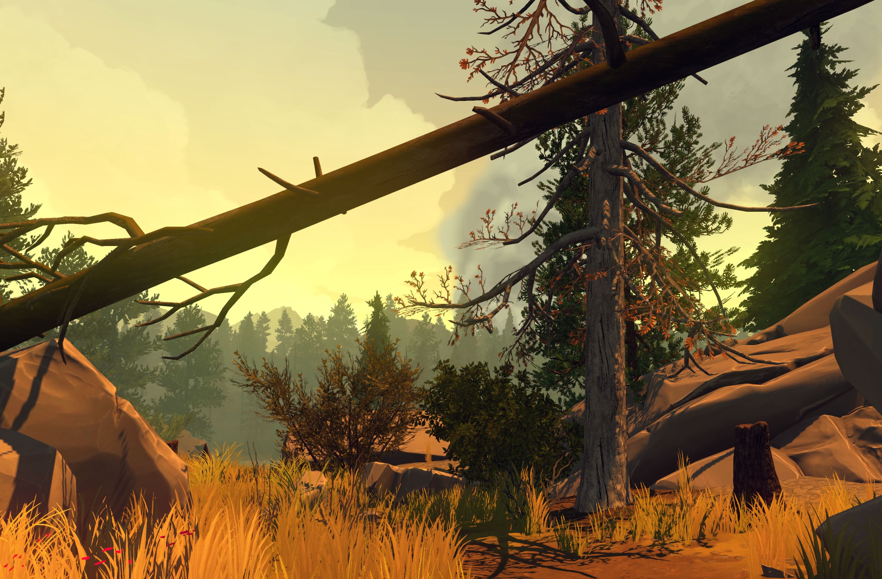 Firewatch Camera - Full Roll