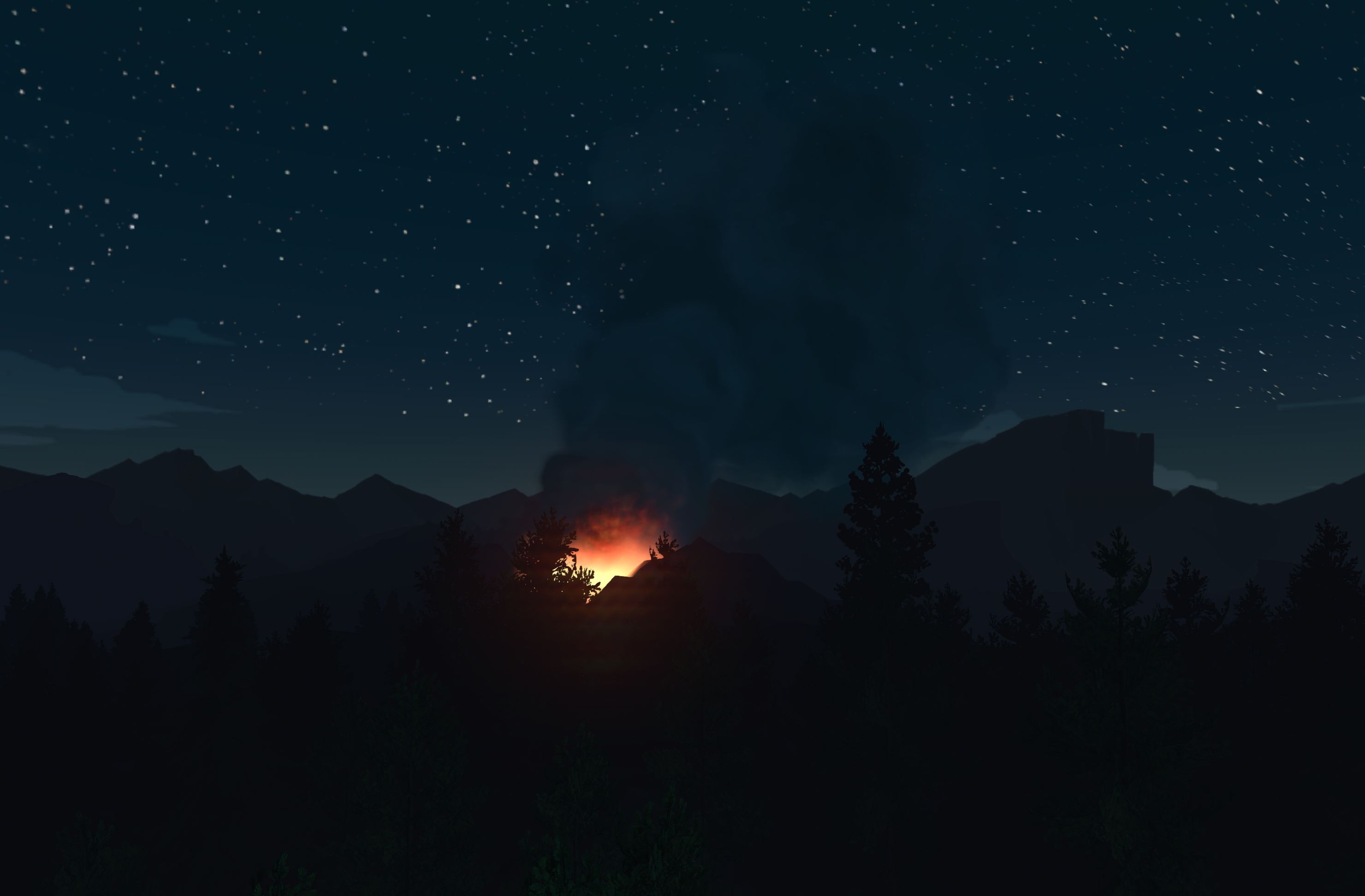 Firewatch Camera - Full Roll