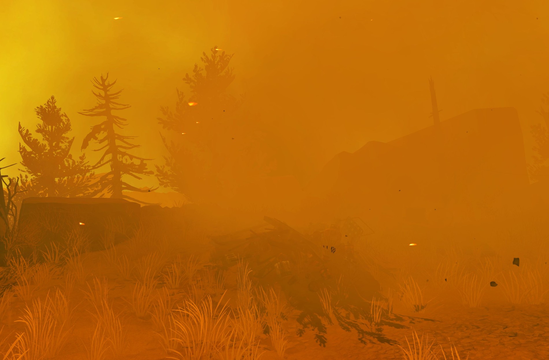 Firewatch Camera - Full Roll