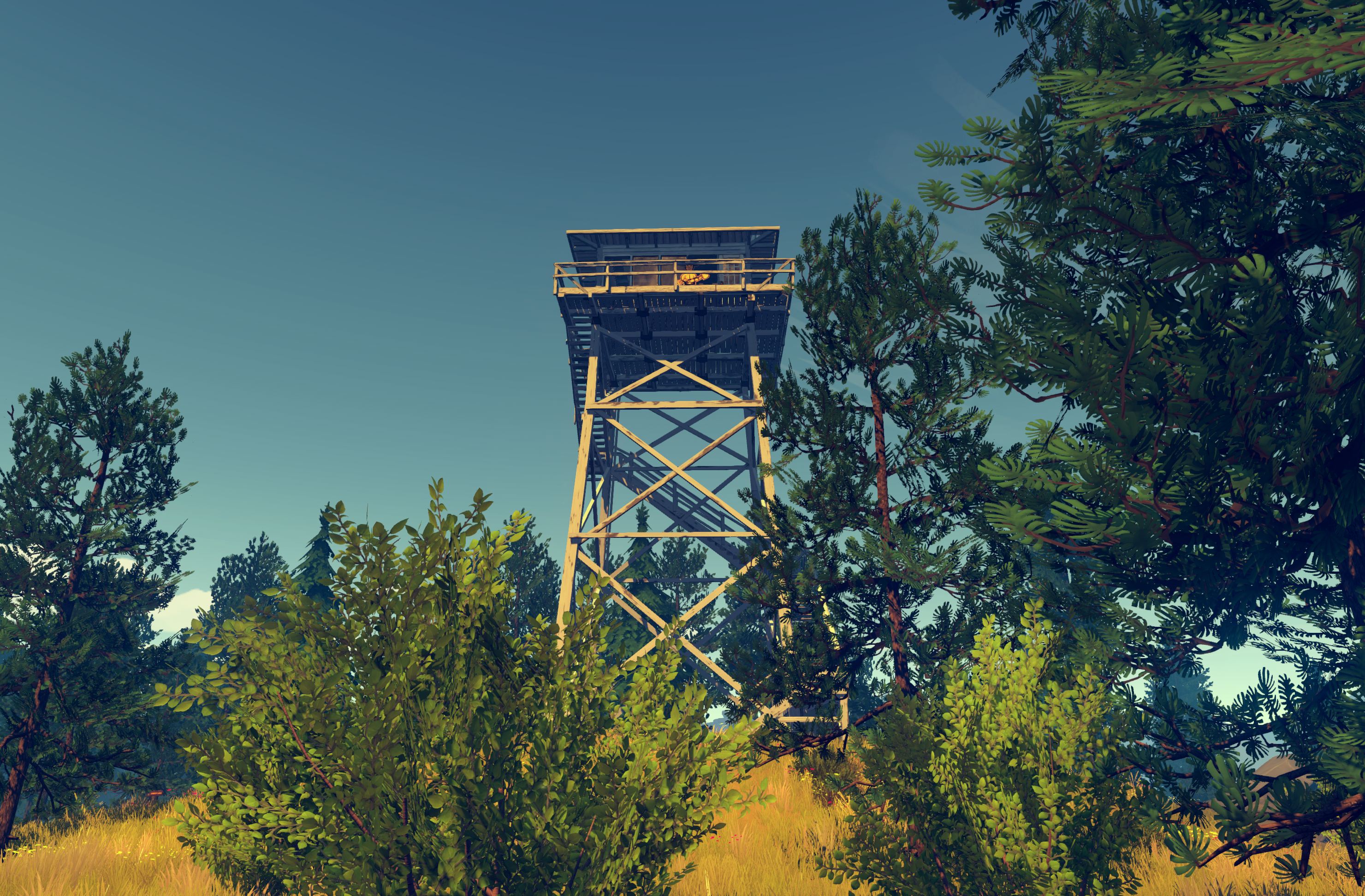 Firewatch Camera - Full Roll