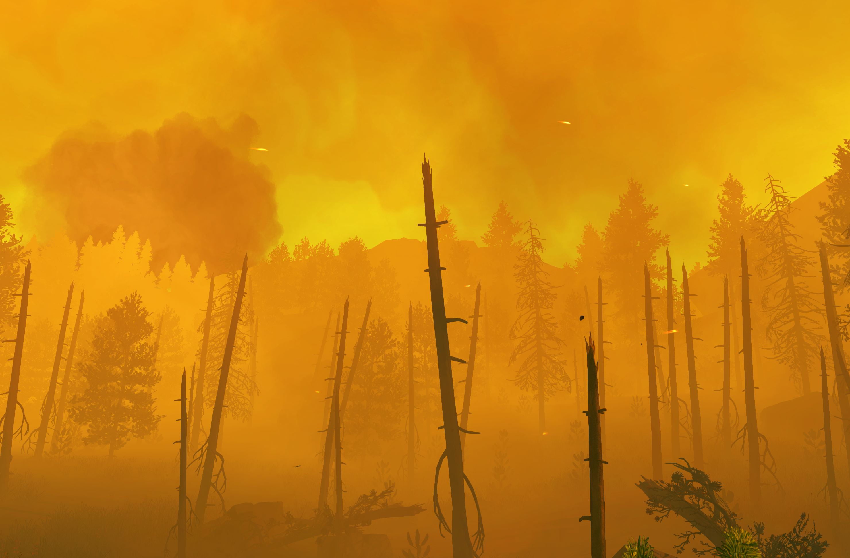Firewatch Camera - Full Roll