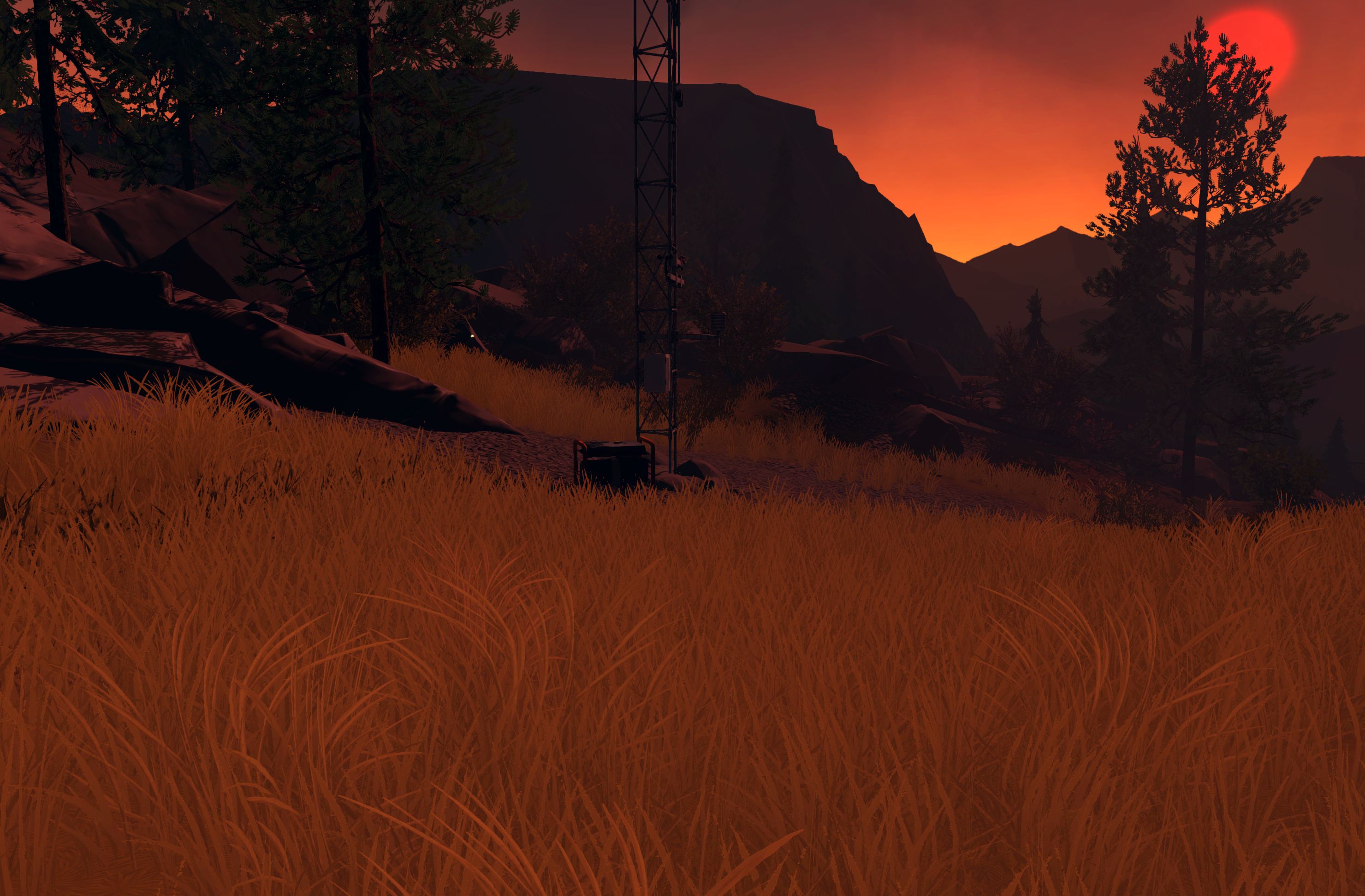 Firewatch Camera - Full Roll