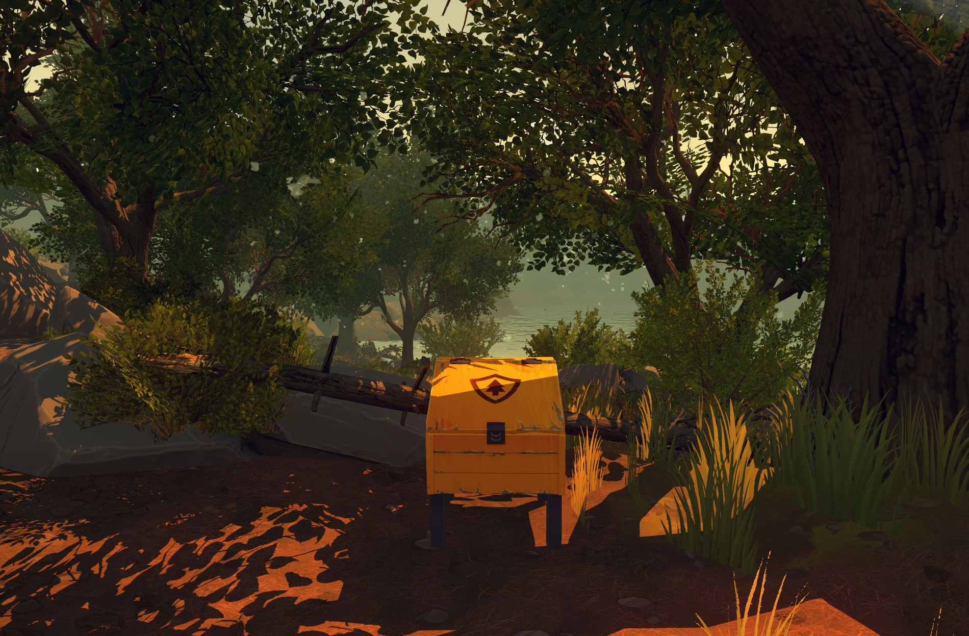 Firewatch Camera - Full Roll