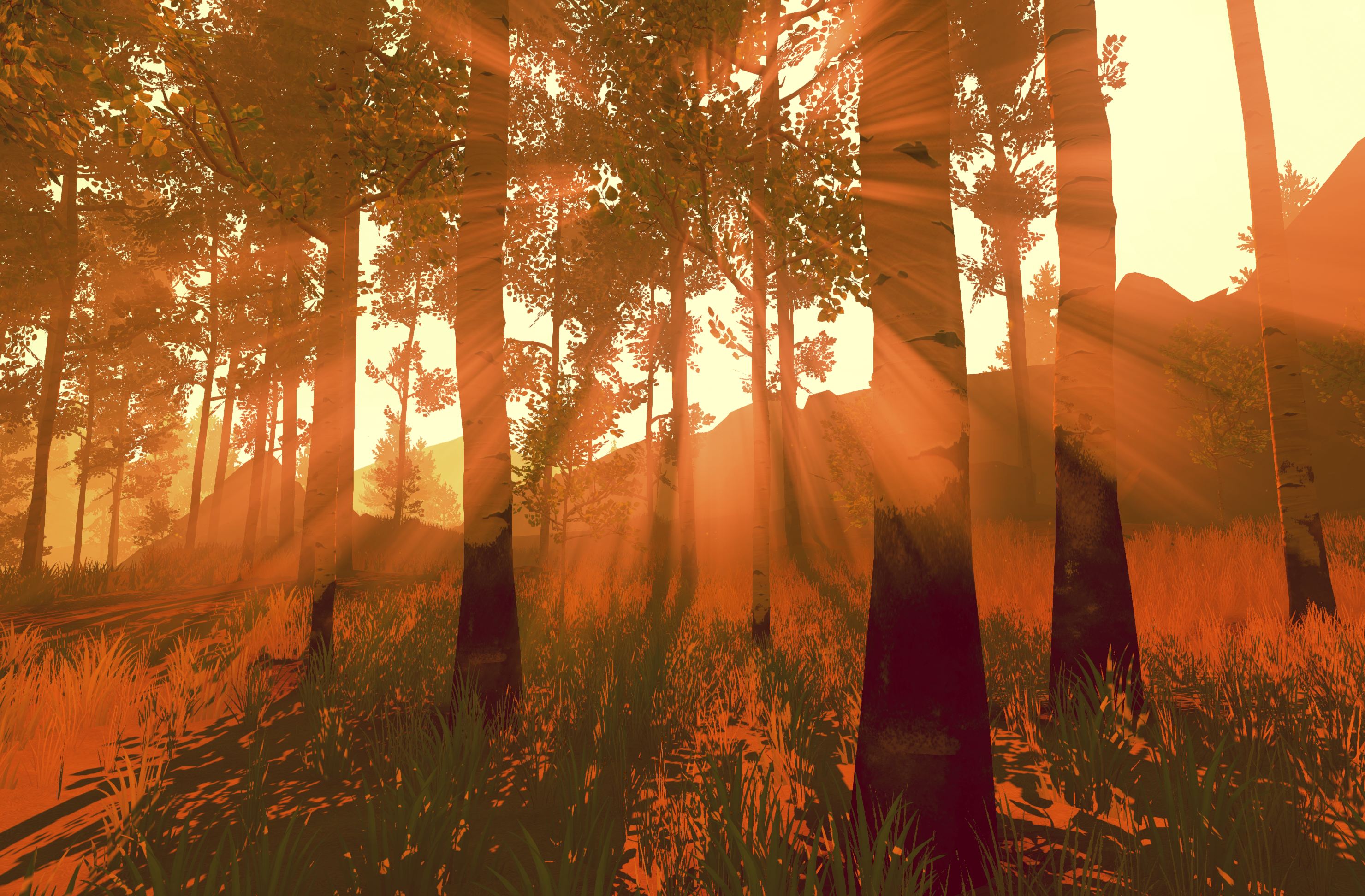 Firewatch Camera - Single Photo