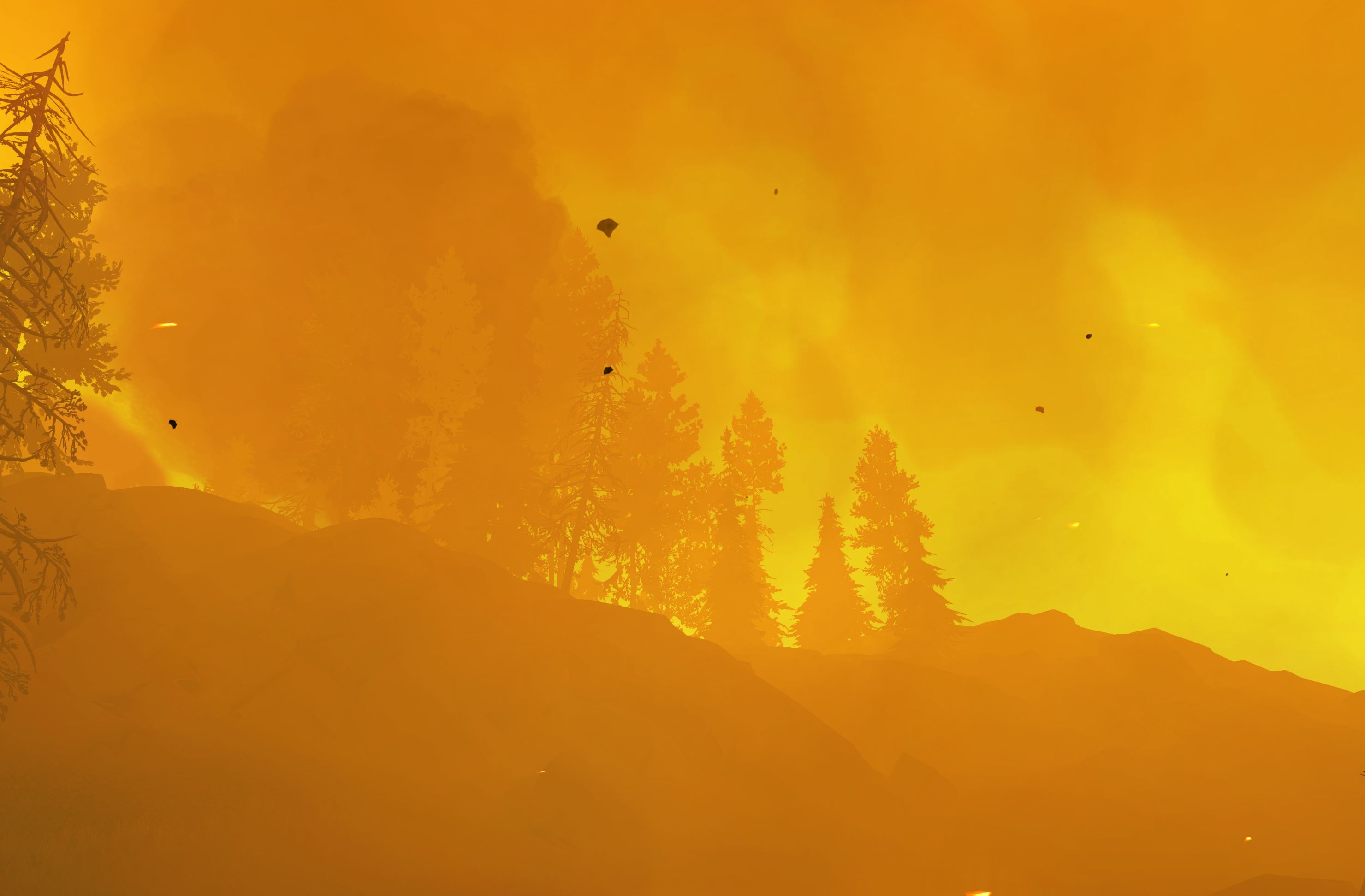 Firewatch Camera - Full Roll