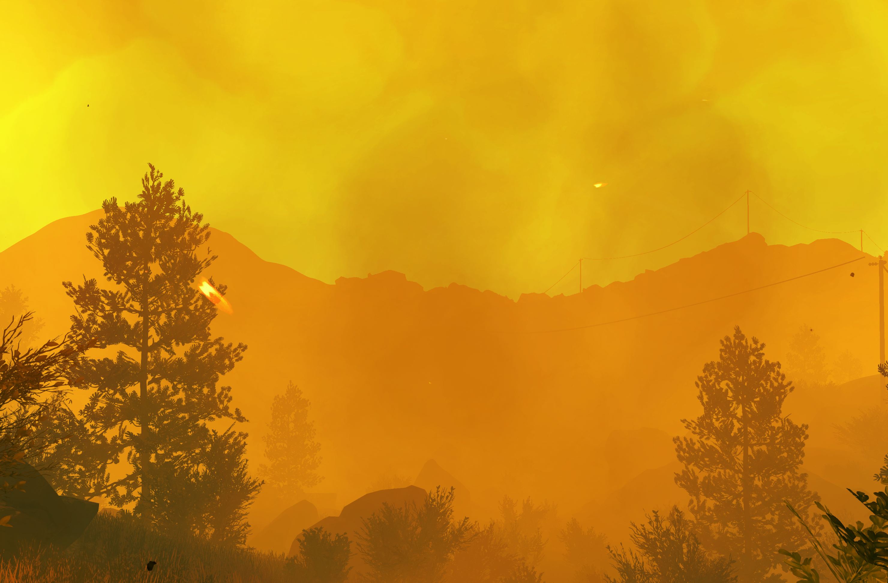 Firewatch Camera - Full Roll