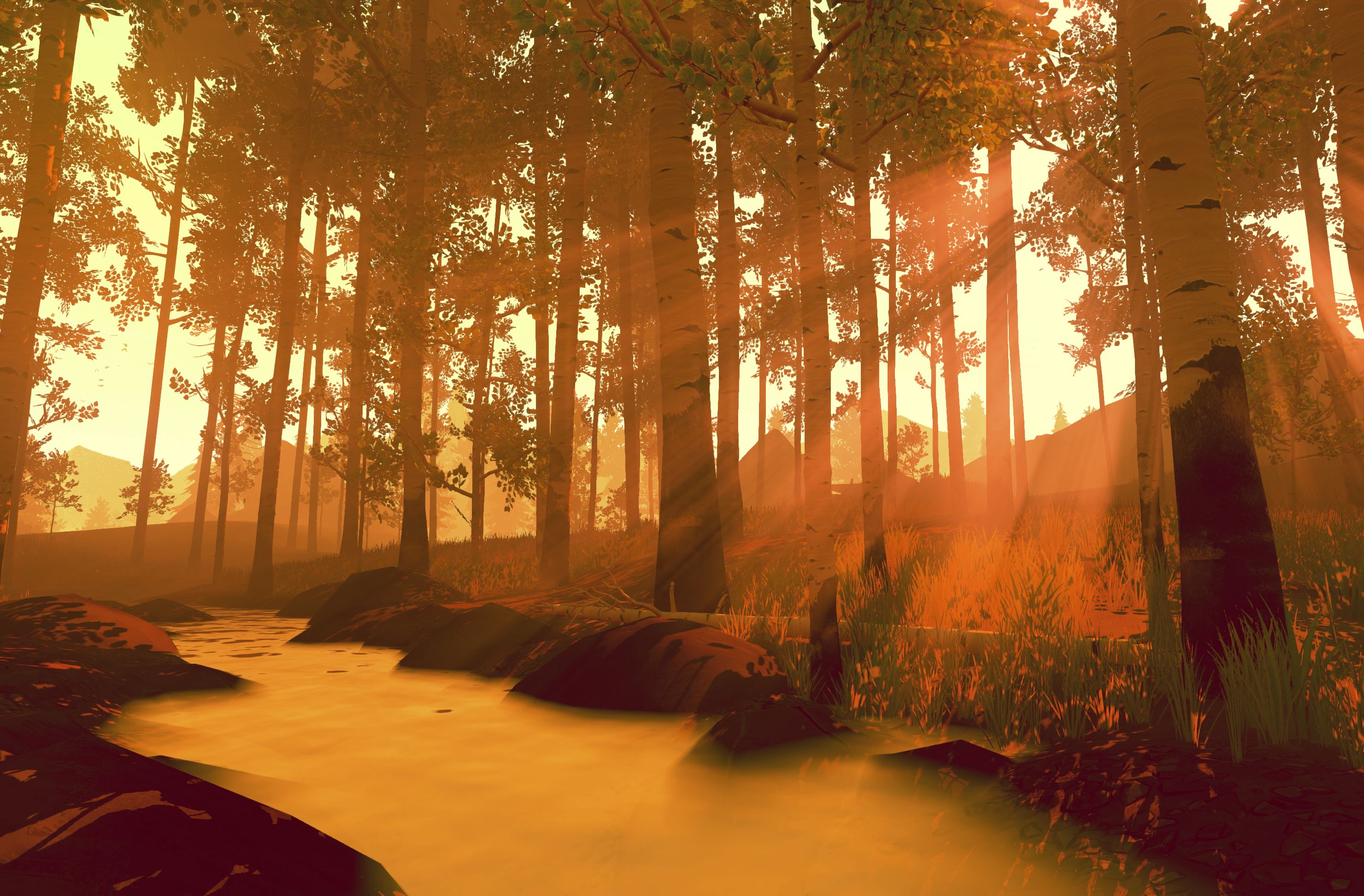 Firewatch Camera - Full Roll