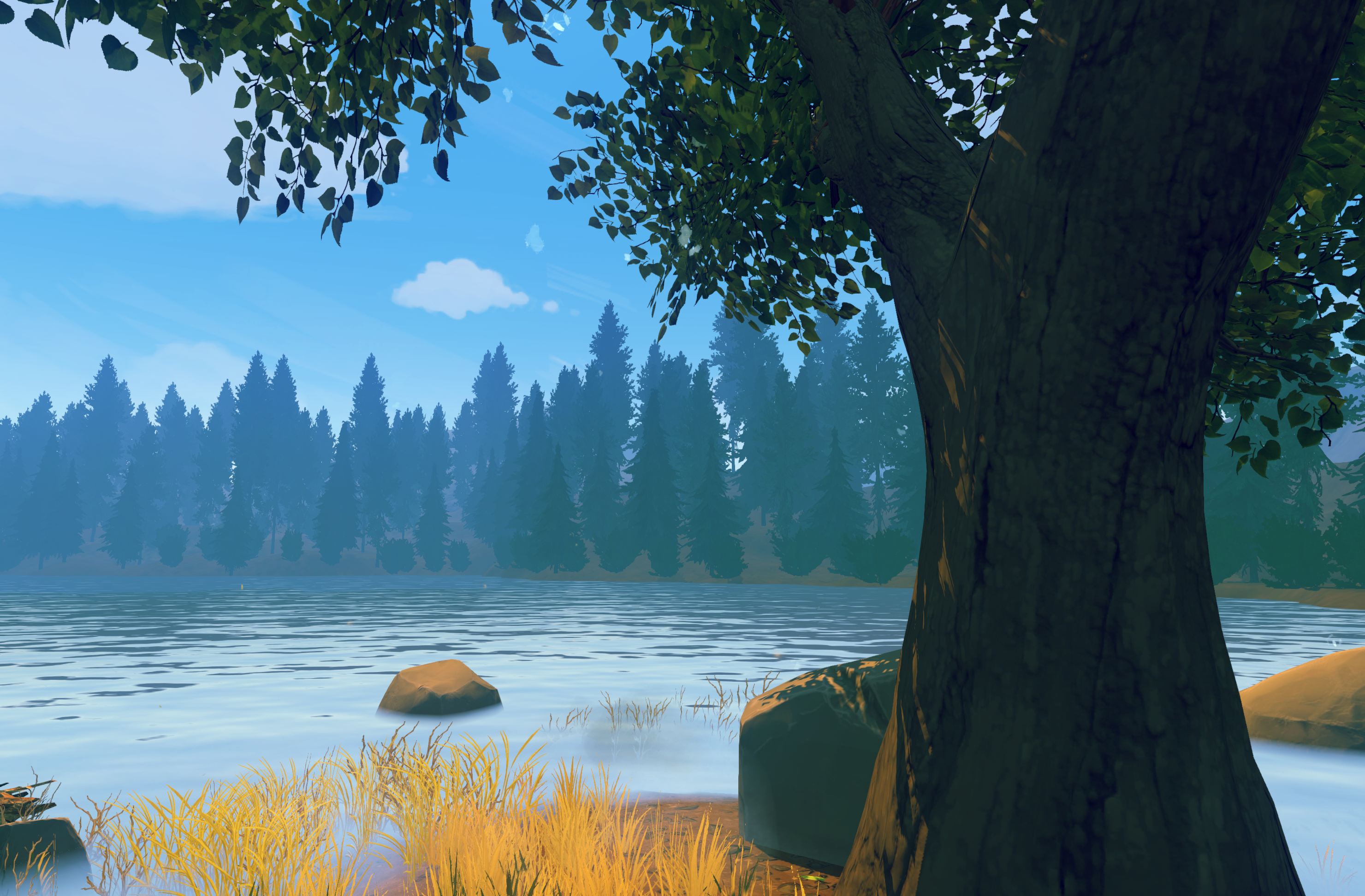 Firewatch Camera - Full Roll