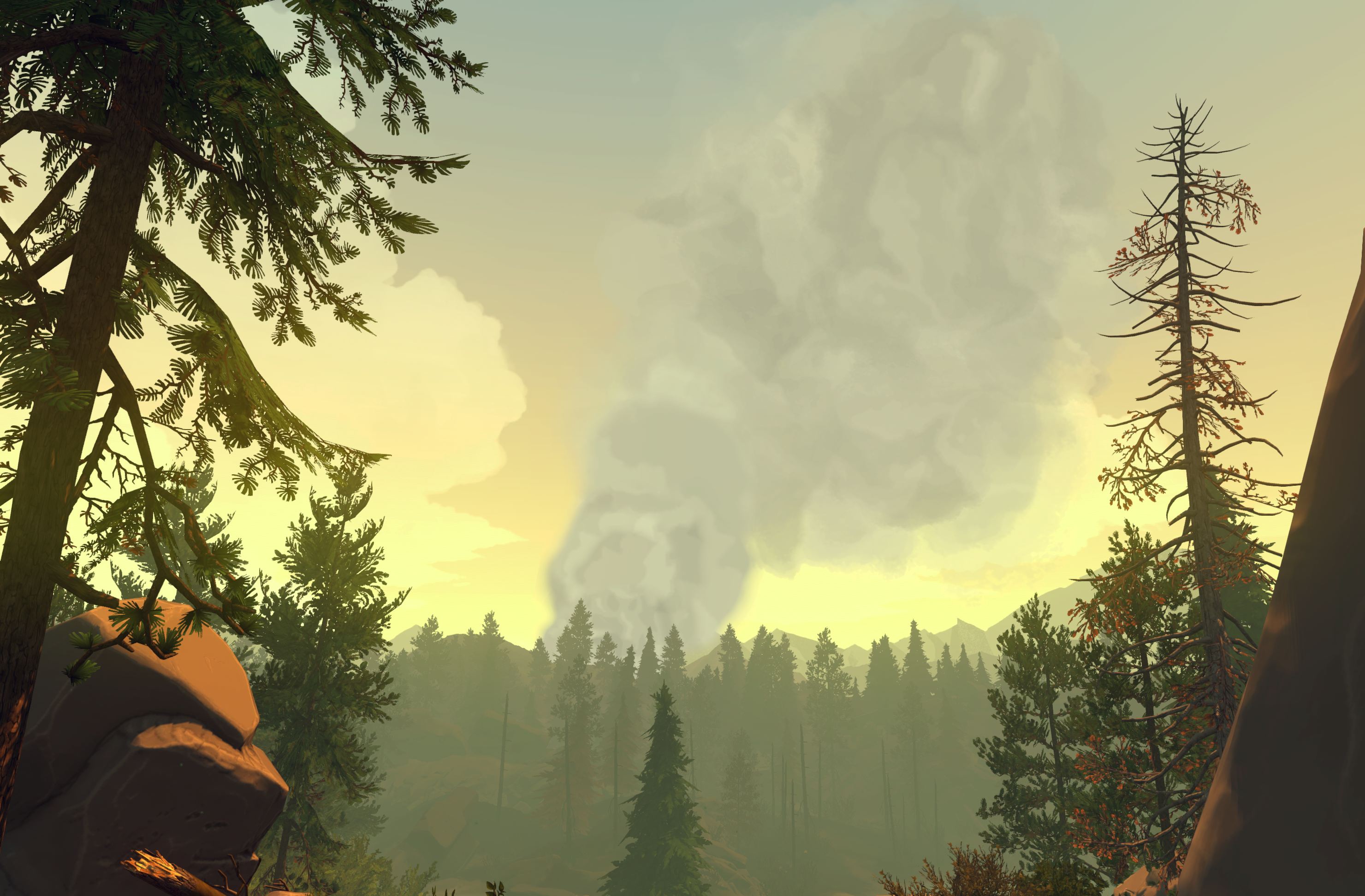 Firewatch Camera - Full Roll