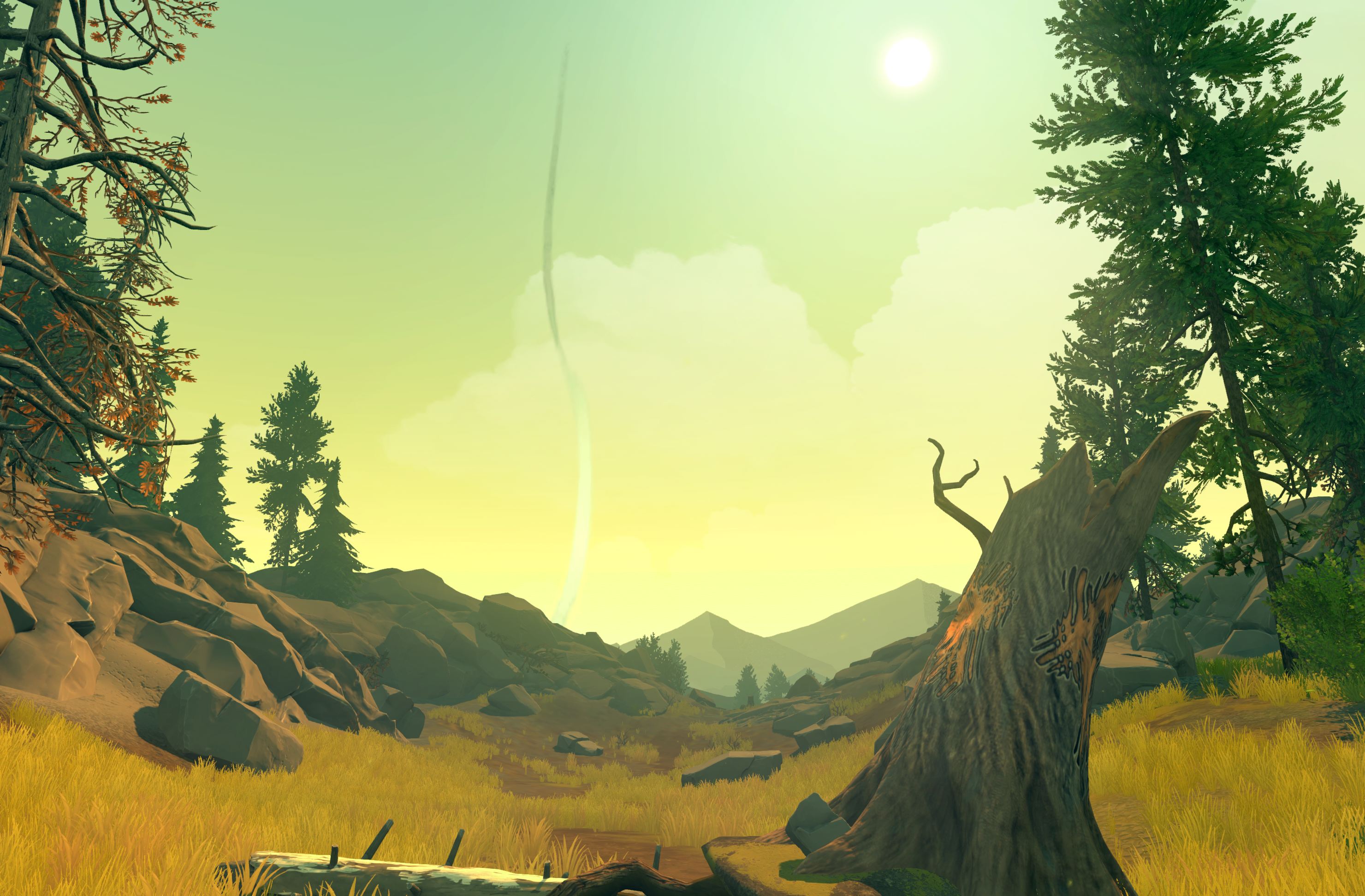 Firewatch Camera - Full Roll