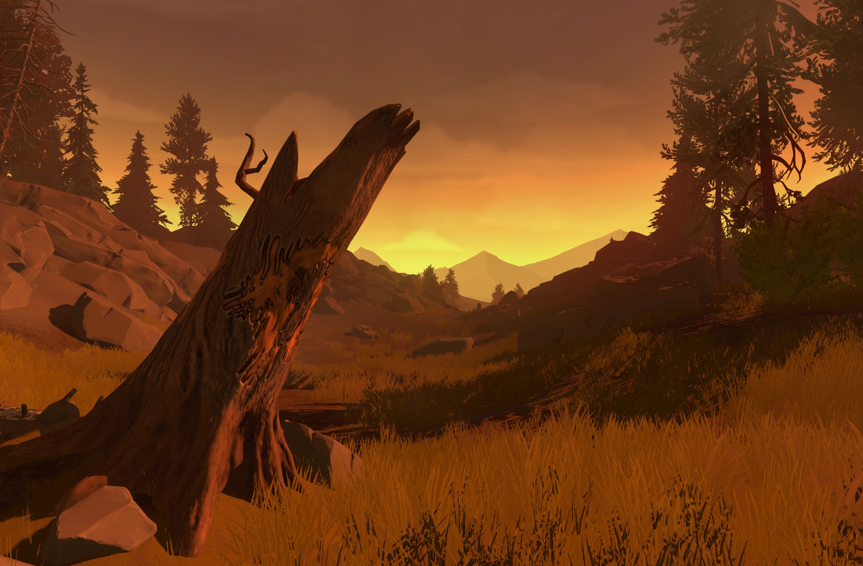 Firewatch Camera - Full Roll