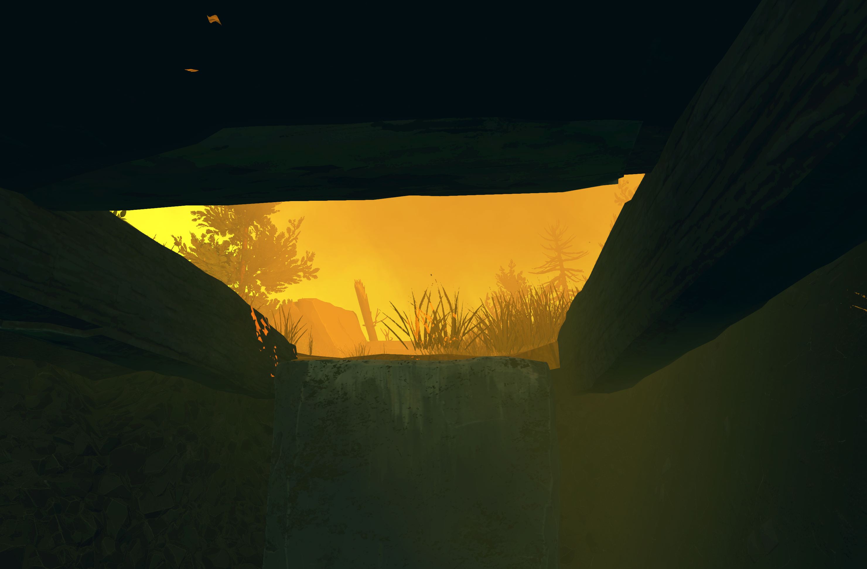 Firewatch Camera - Full Roll