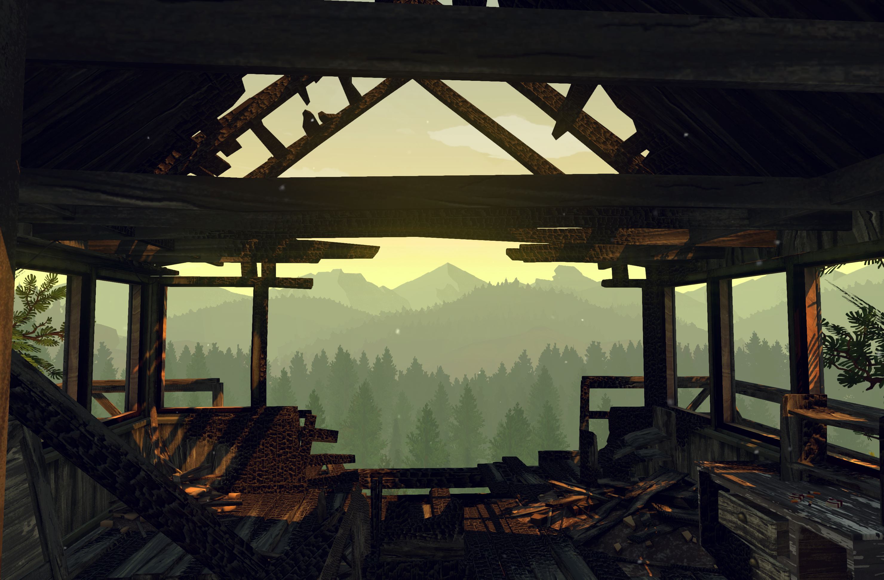 Firewatch Camera - Full Roll