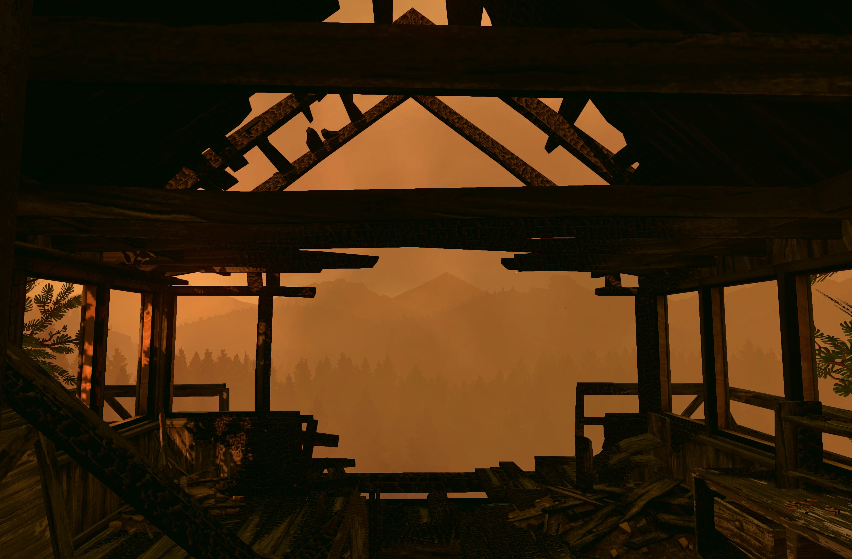 Firewatch Camera - Full Roll