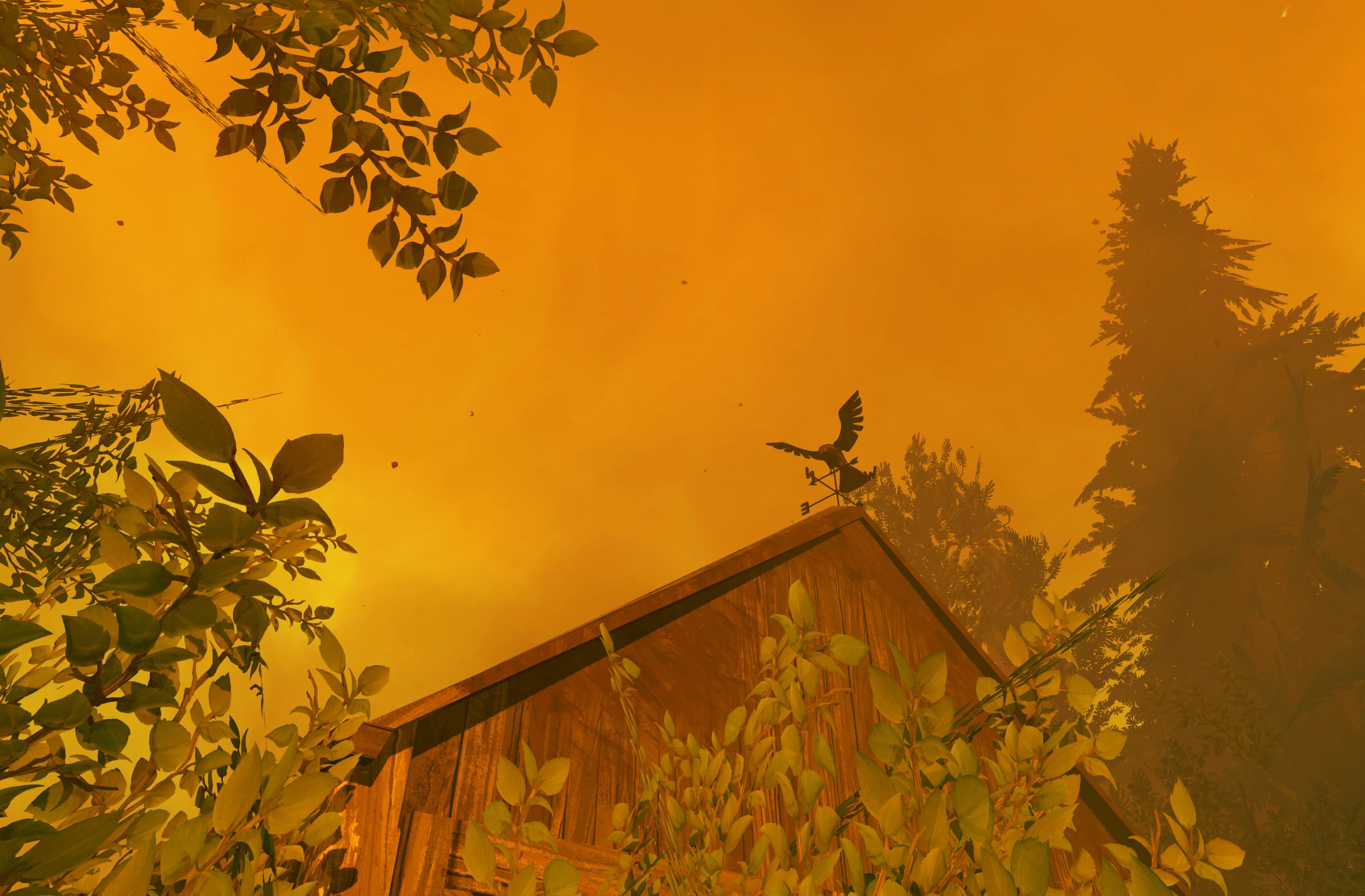 Firewatch Camera - Full Roll