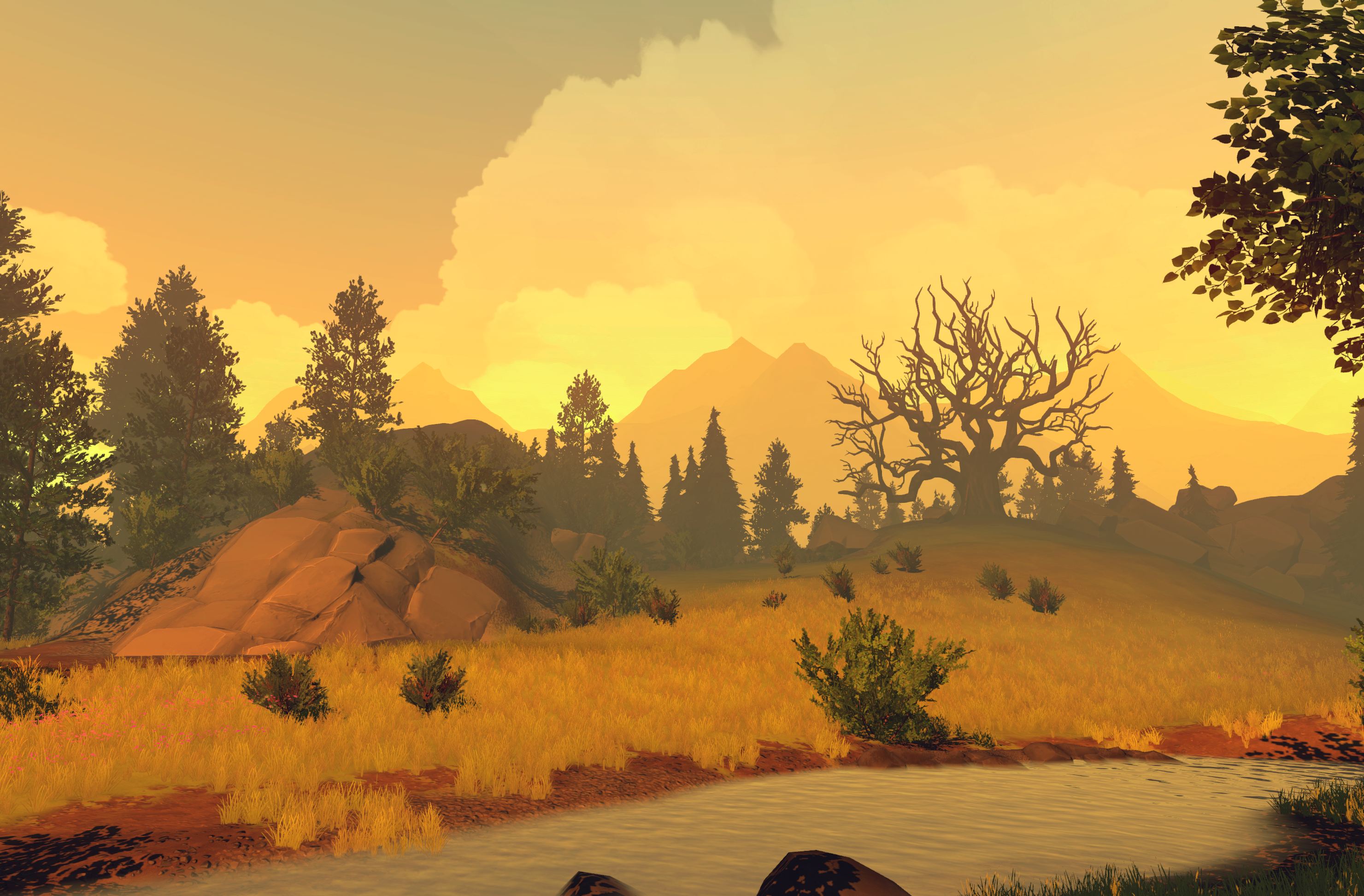 Firewatch Camera - Full Roll