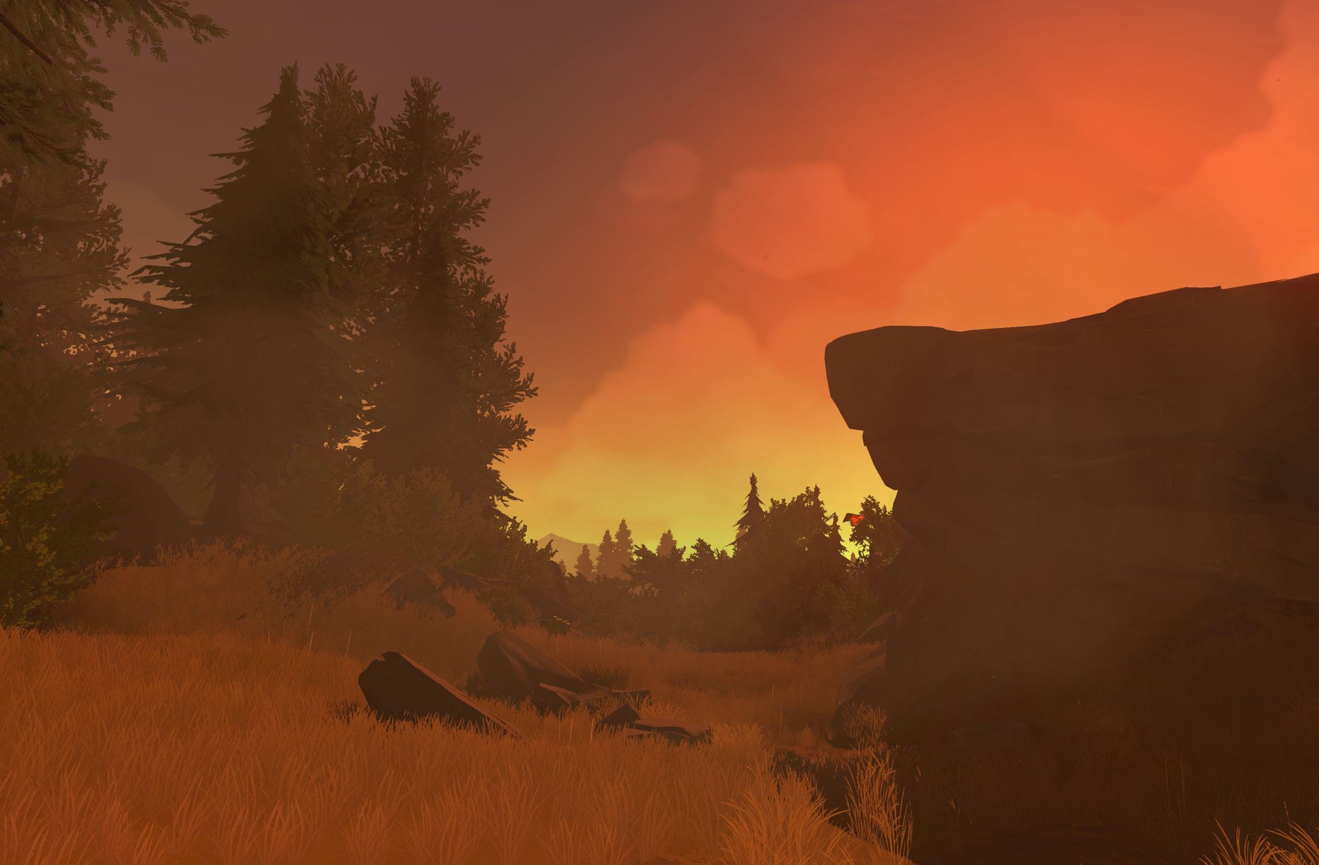 Firewatch Camera - Full Roll