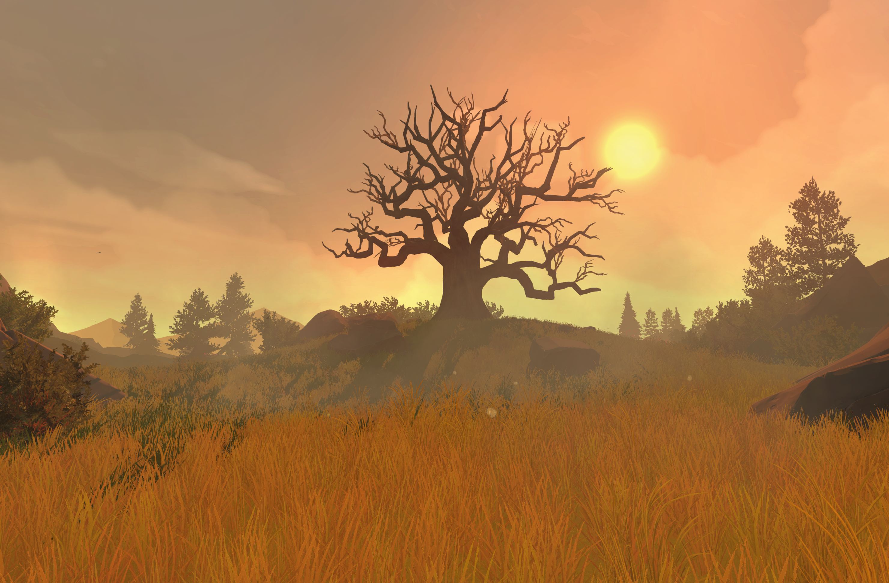 Firewatch Camera - Full Roll