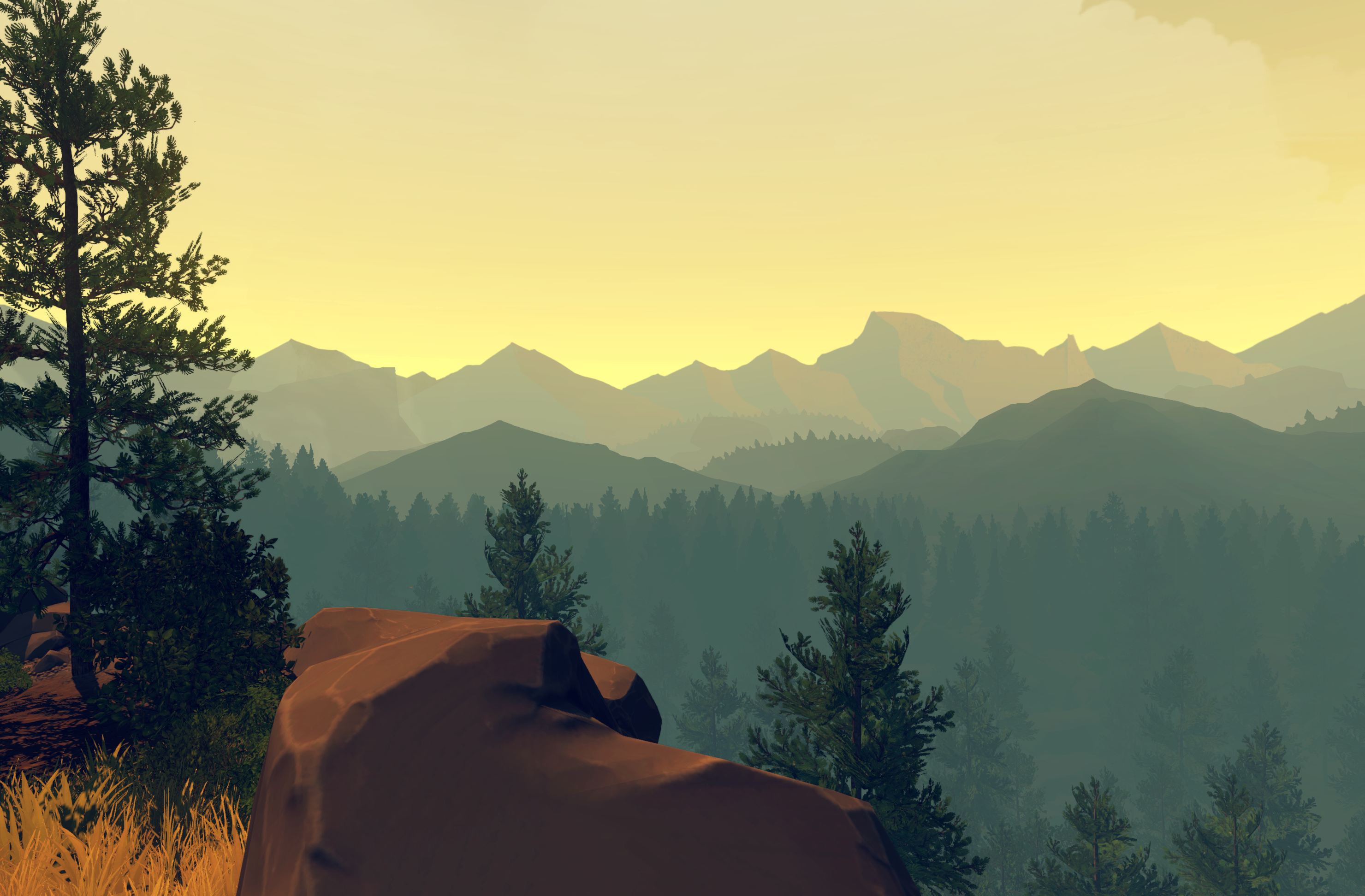 Firewatch Camera - Full Roll