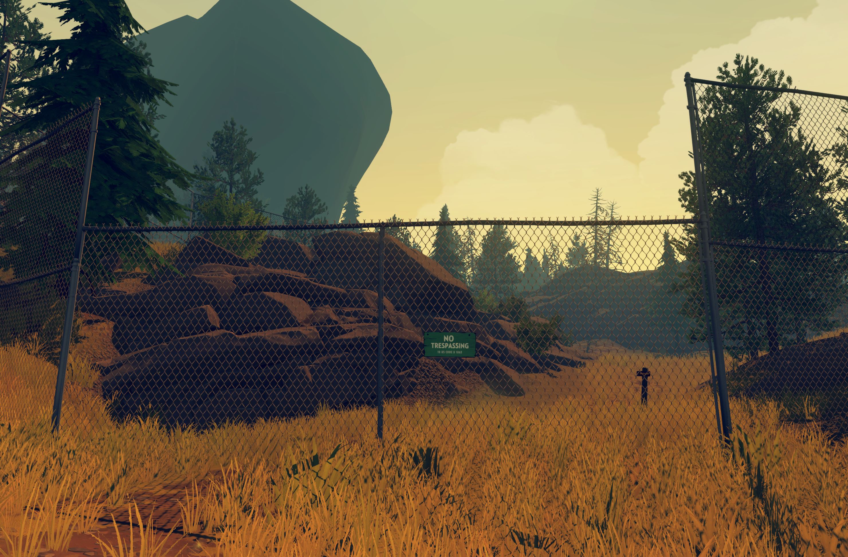 Firewatch Camera - Full Roll