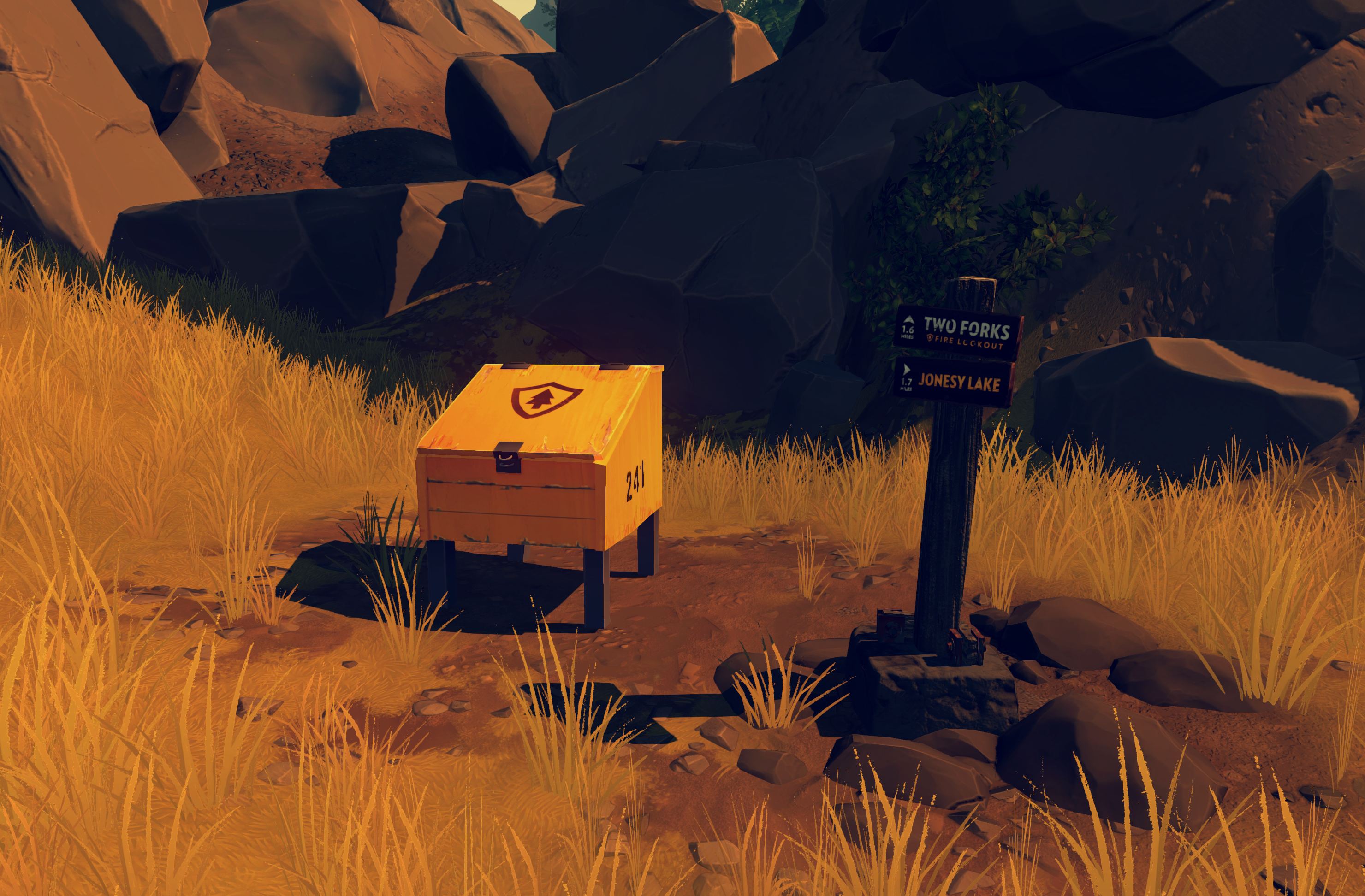 Firewatch Camera - Full Roll