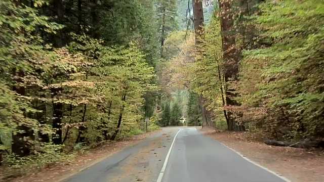 Road inside the Yosemite National Park with Autumn Leaves, California ...