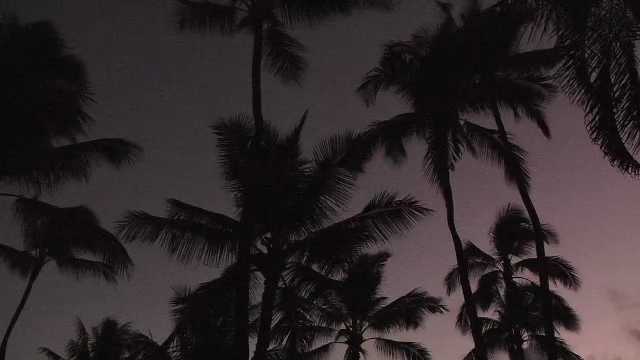 Sunset at Ala Moana Beach, Honolulu, Hawaii, USA, 2000s - Footage File